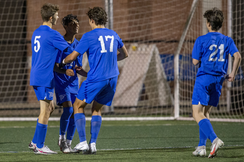 Lower Dauphin beats York Suburban in boys District 3 soccer playoff ...