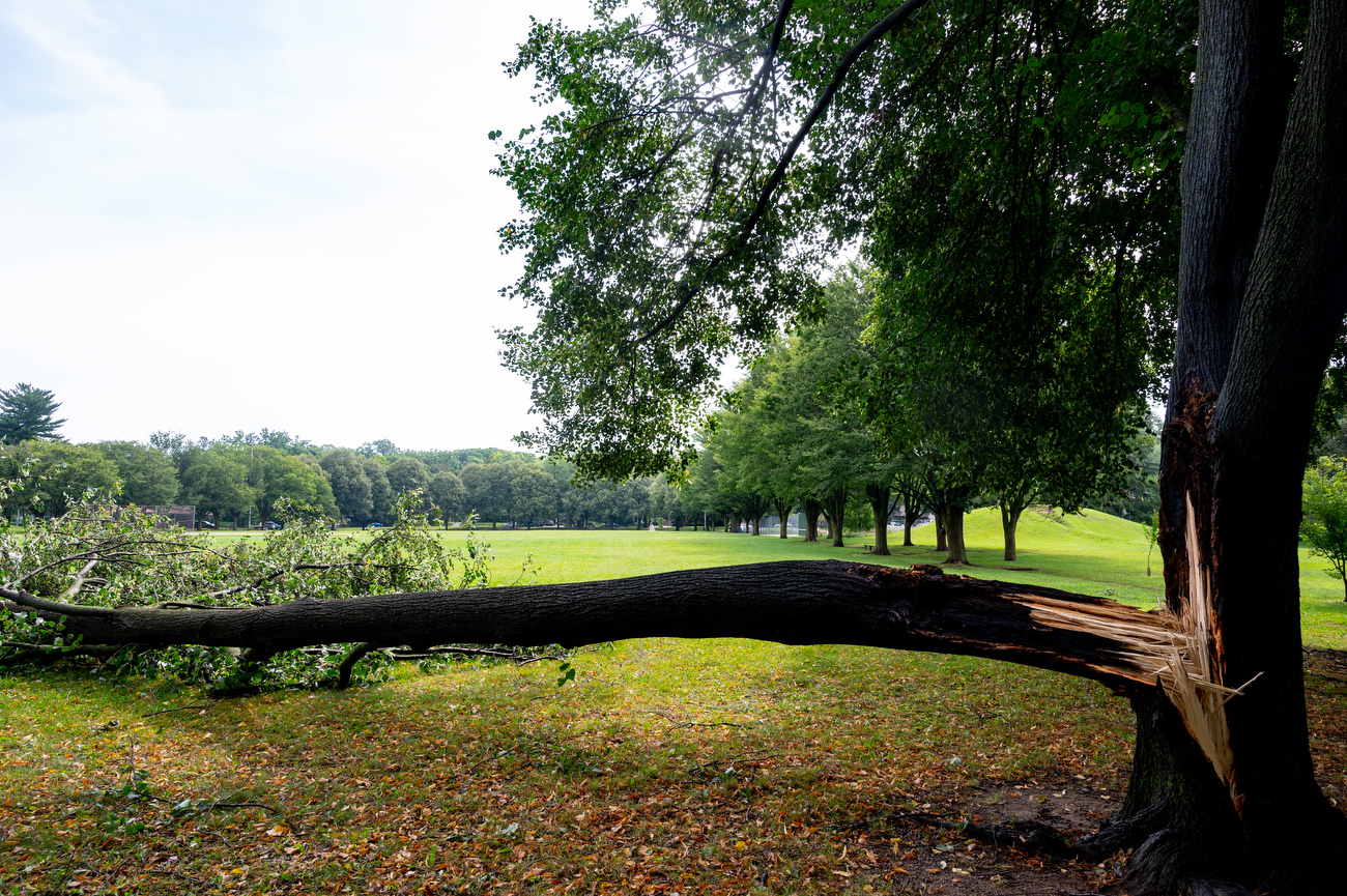 Ann Arbor flood and wind damage after overnight storms - mlive.com