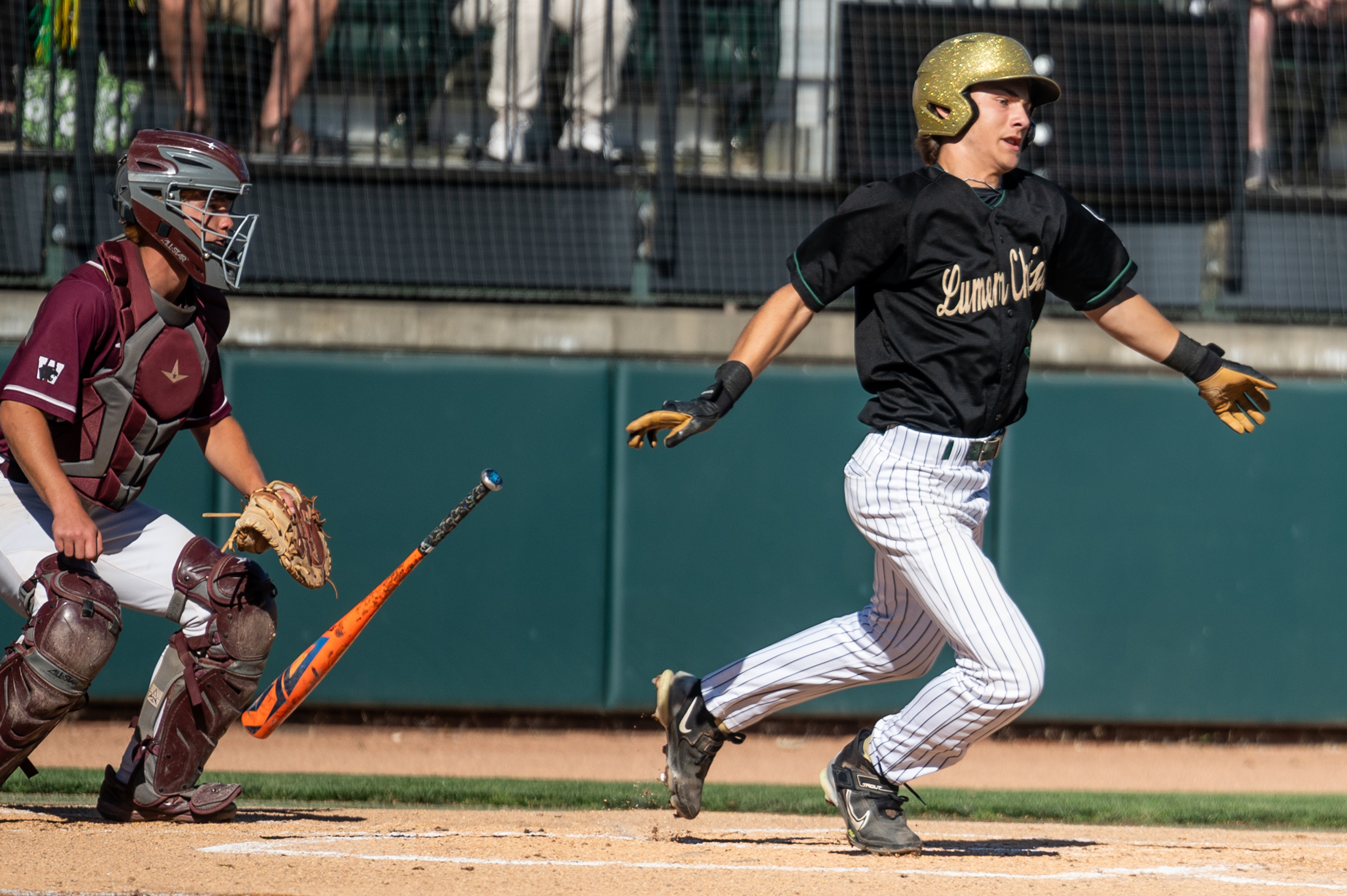 Watervliet wins MHSAA Division 3 baseball state championship - mlive.com