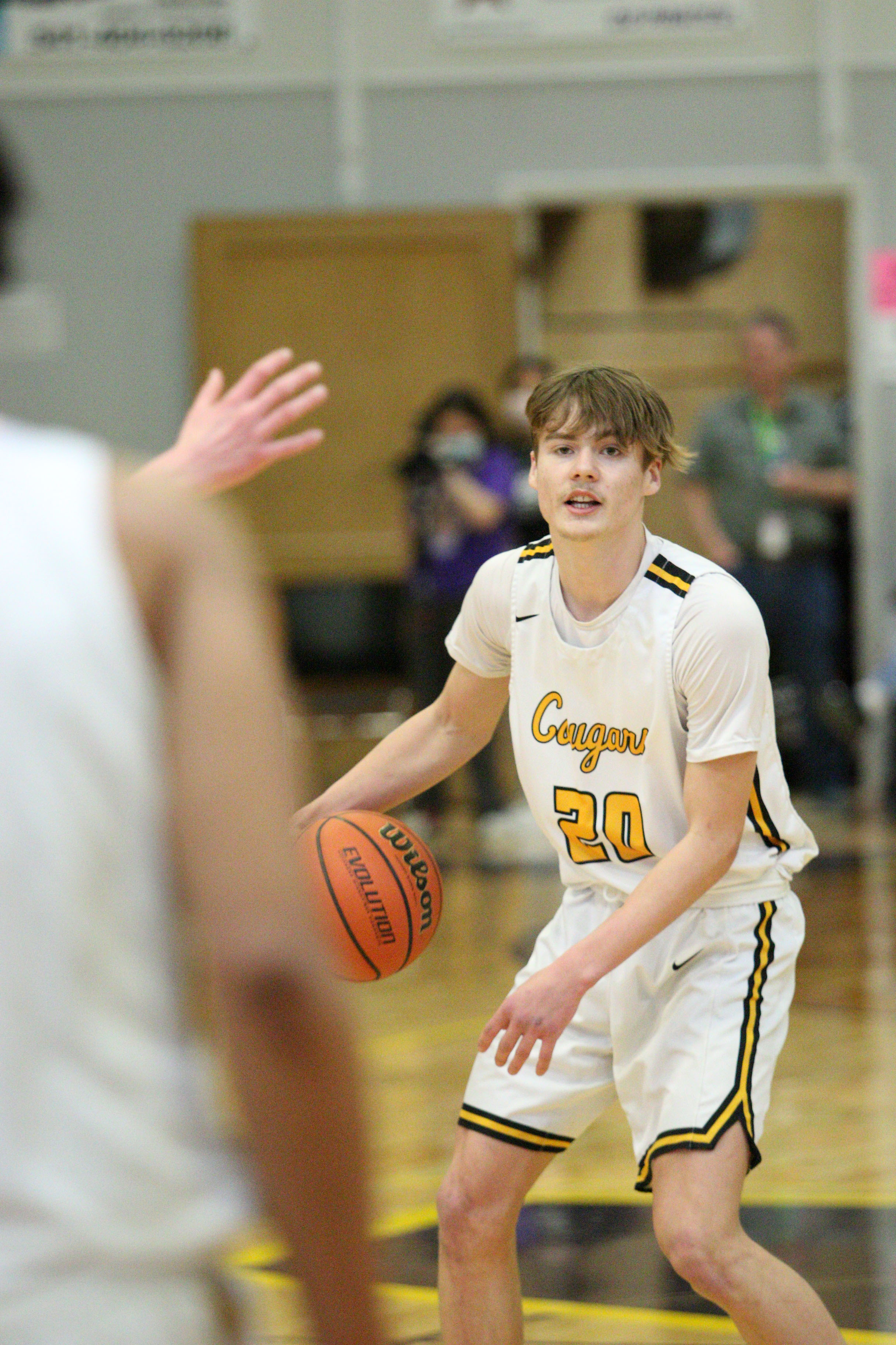 Kellen Sande, Class 4A boys basketball Player of the Year - oregonlive.com