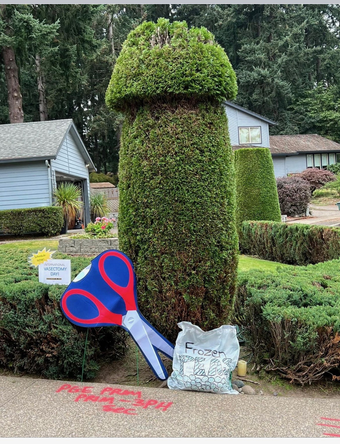 Tualatin's suggestive topiary - oregonlive.com