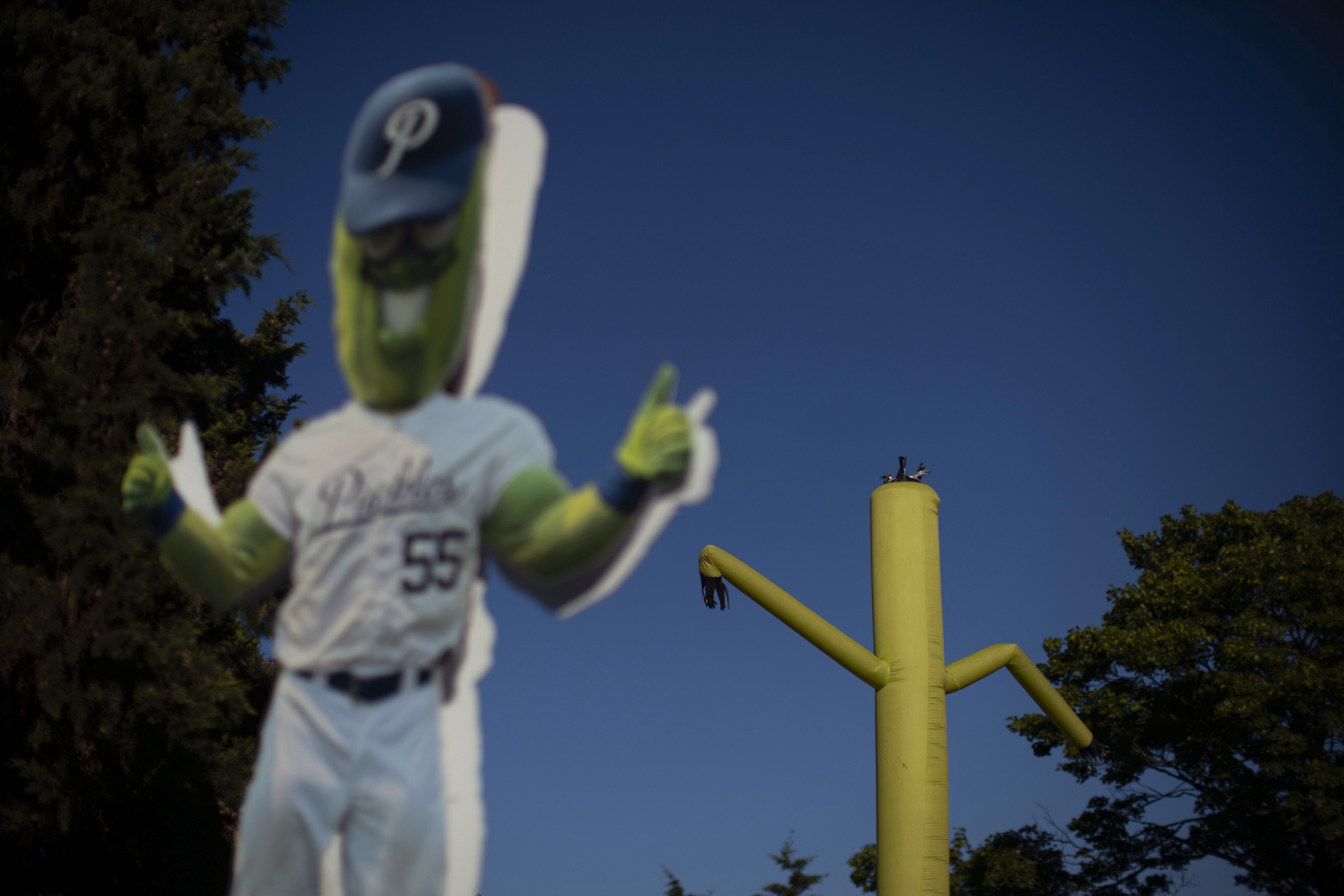 A night with the Portland Pickles - oregonlive.com