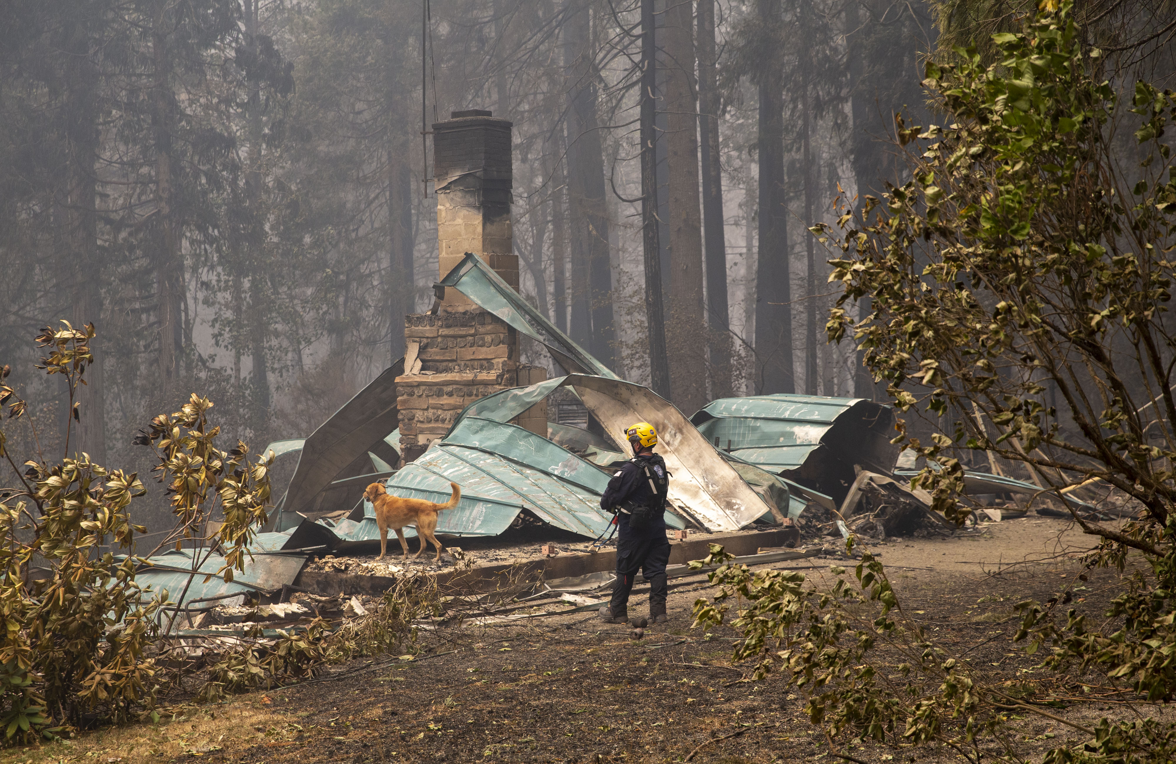 Holiday Farm wildfire damage - oregonlive.com