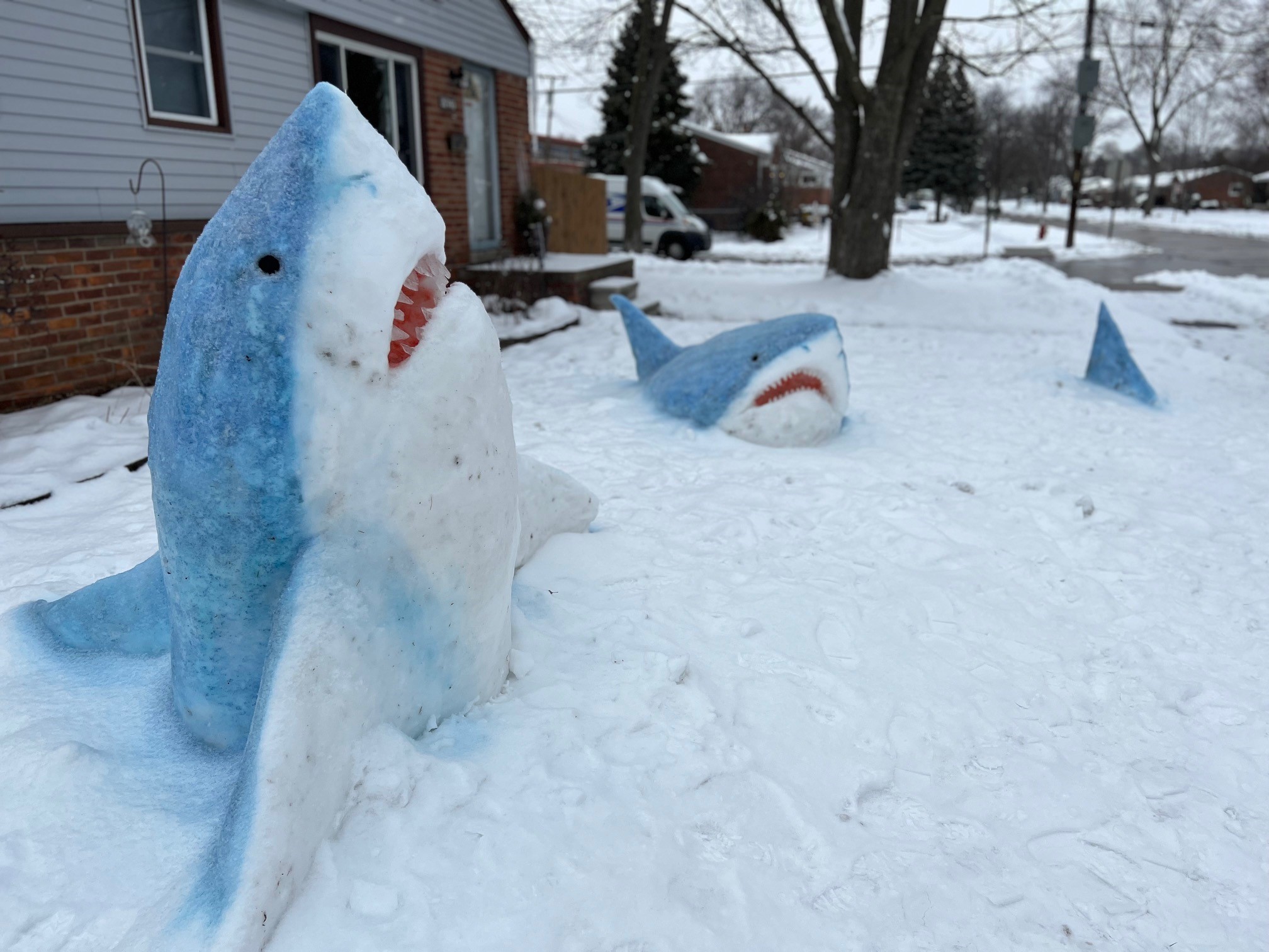 Michigan woman creates snow sharks on her front lawn. - mlive.com