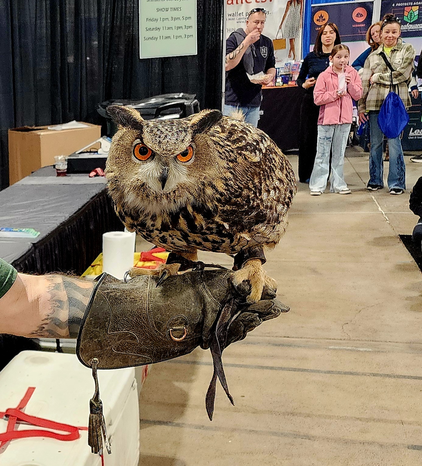 2026 Springfield Sportsmen's Show draws hunters, fishing enthusiasts ...