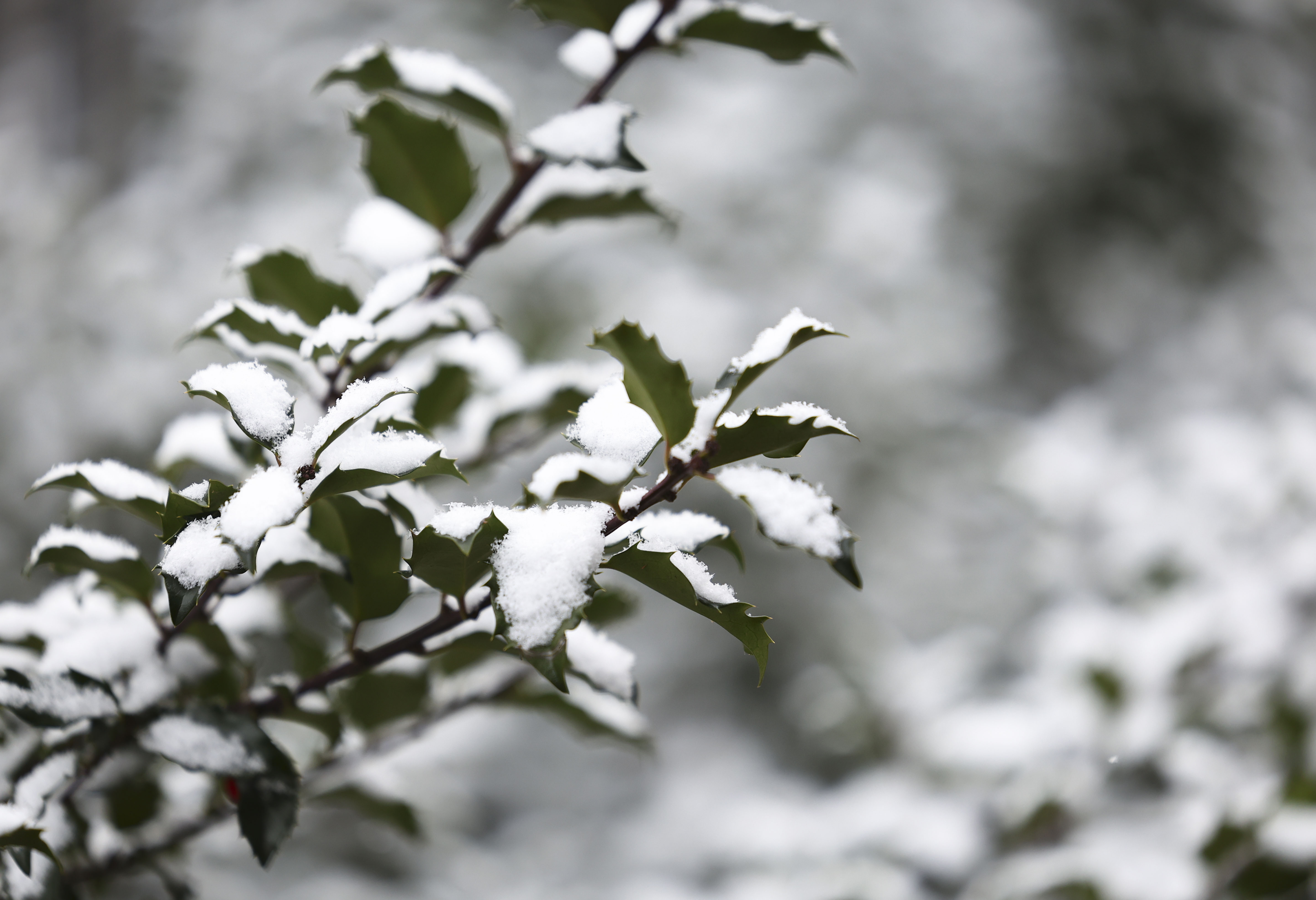 Lehigh Valley's first measurable snow of 2025 - lehighvalleylive.com
