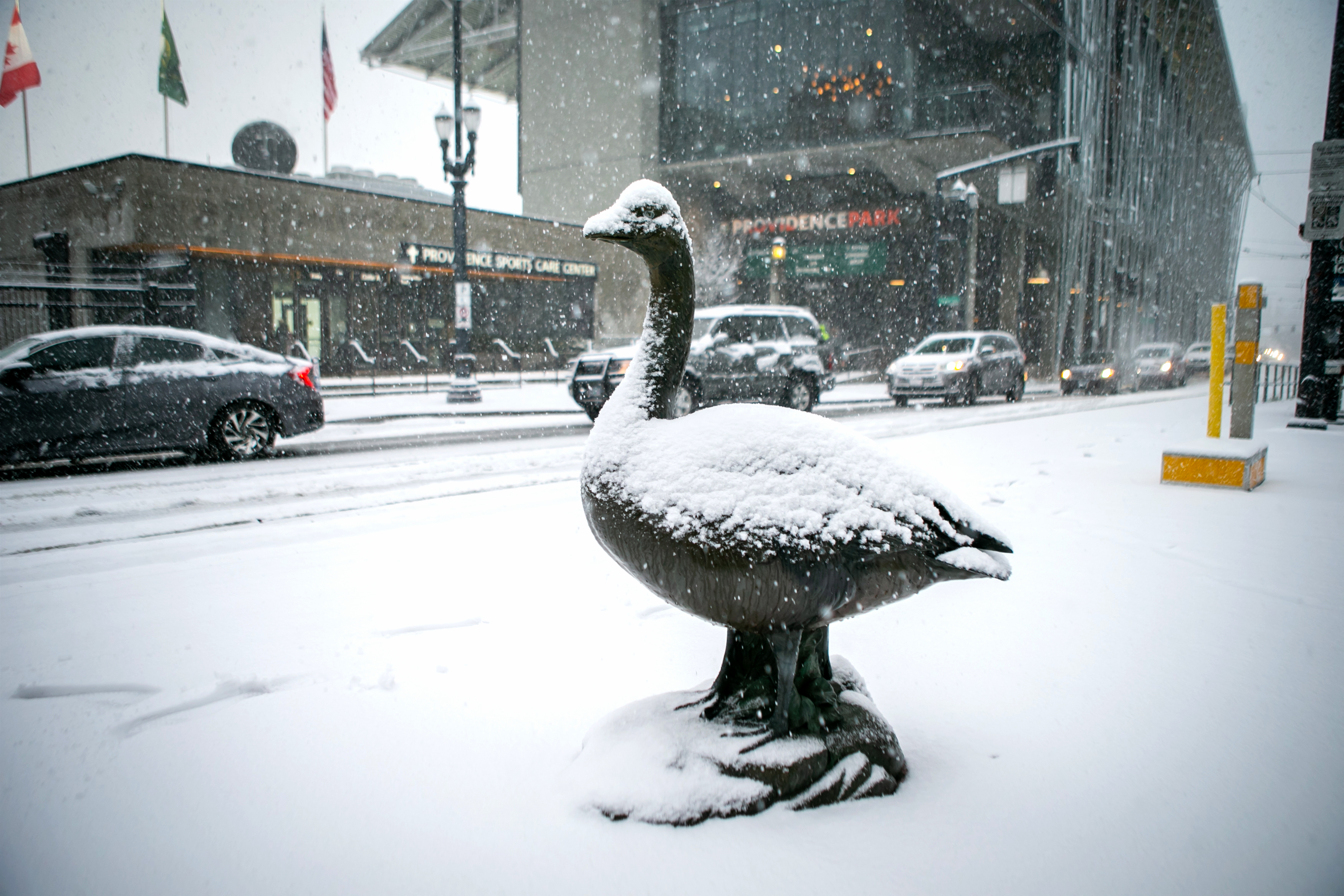 Portland snow - Feb. 22, 2023 - oregonlive.com