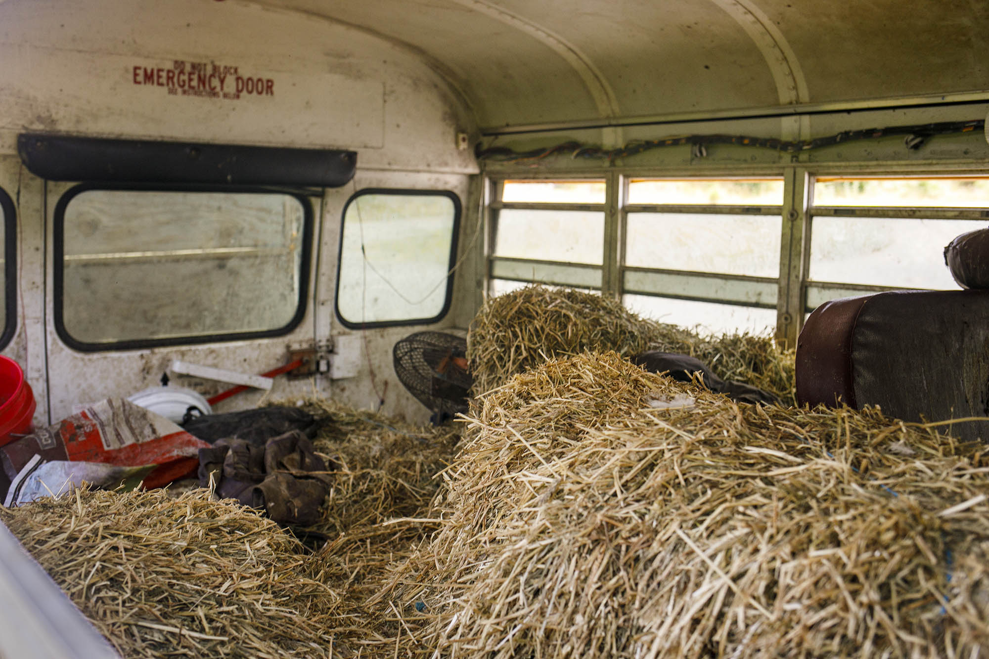 Animal filled school bus and makeshift trailer found in Adams County ...