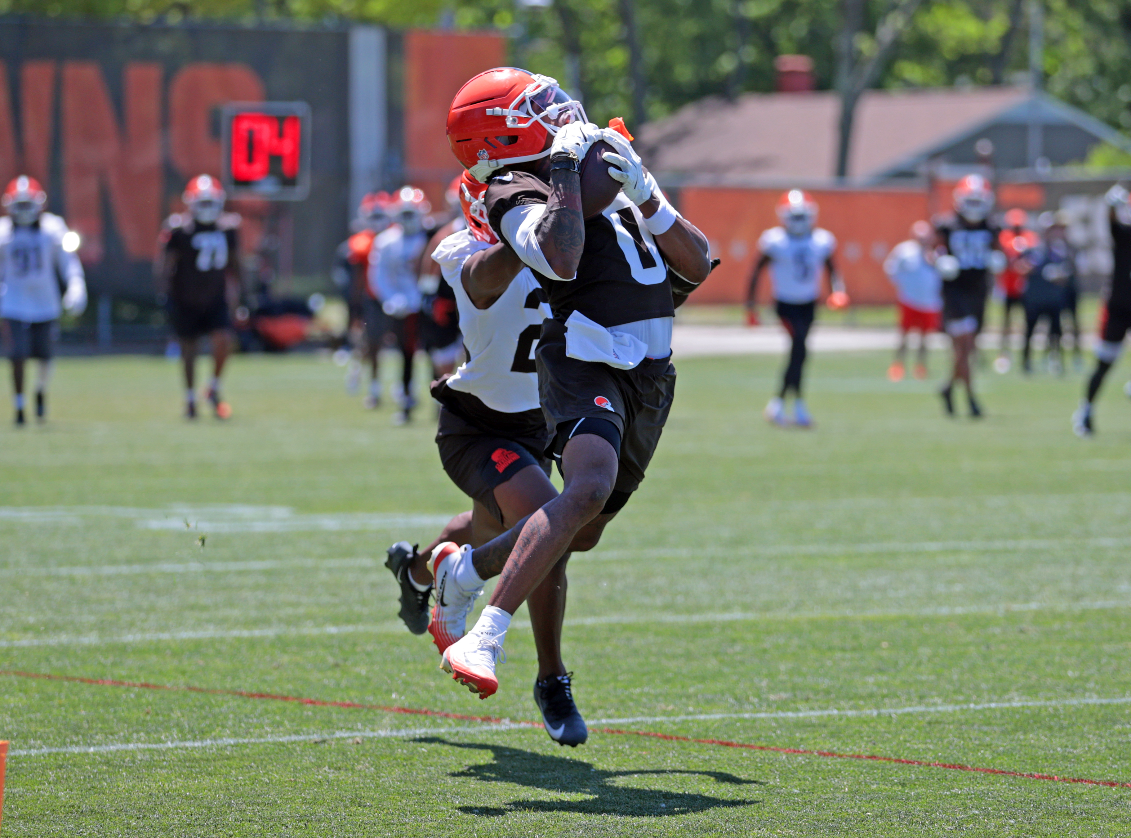 Cleveland Browns Football News - NFL Coverage - Cleveland.com