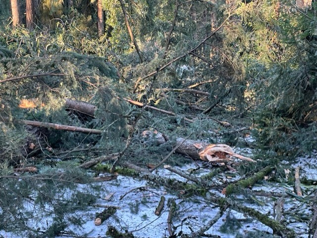January 2024 ice storm at The Grotto - oregonlive.com
