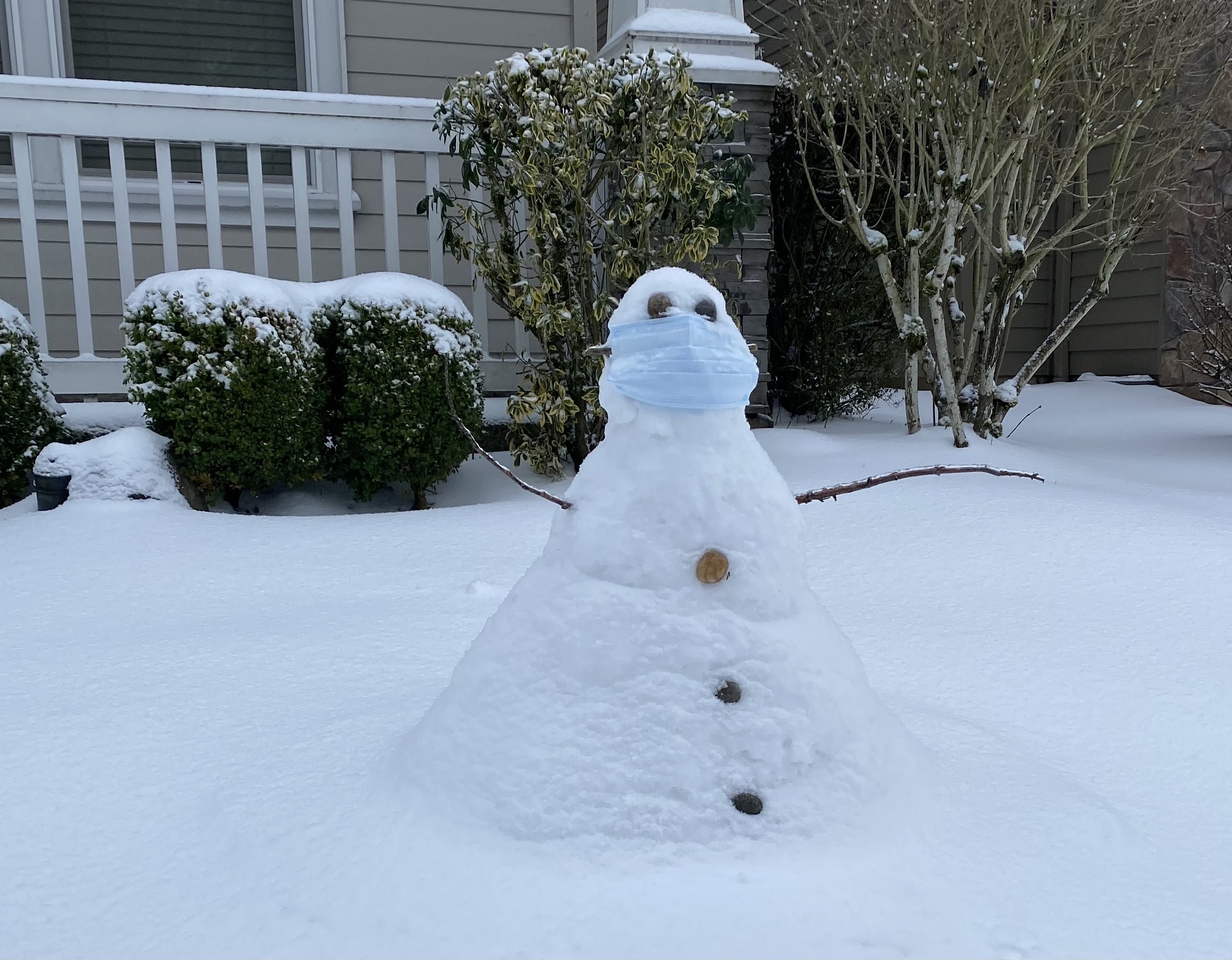 Snow blankets Portland-metro area Saturday, Feb. 13 - oregonlive.com