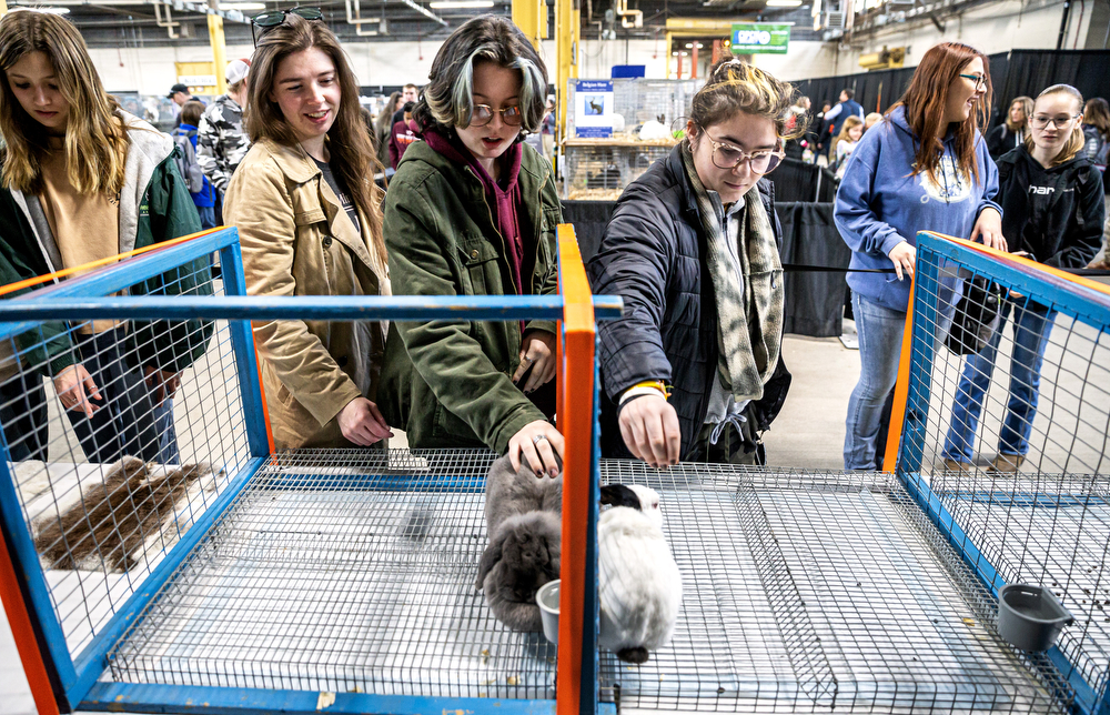 Pa. Farm Show 2023 Day 3 - pennlive.com