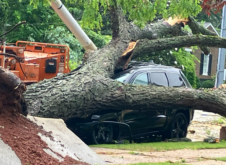 Alabama storm damage: May 9, 2024 - al.com