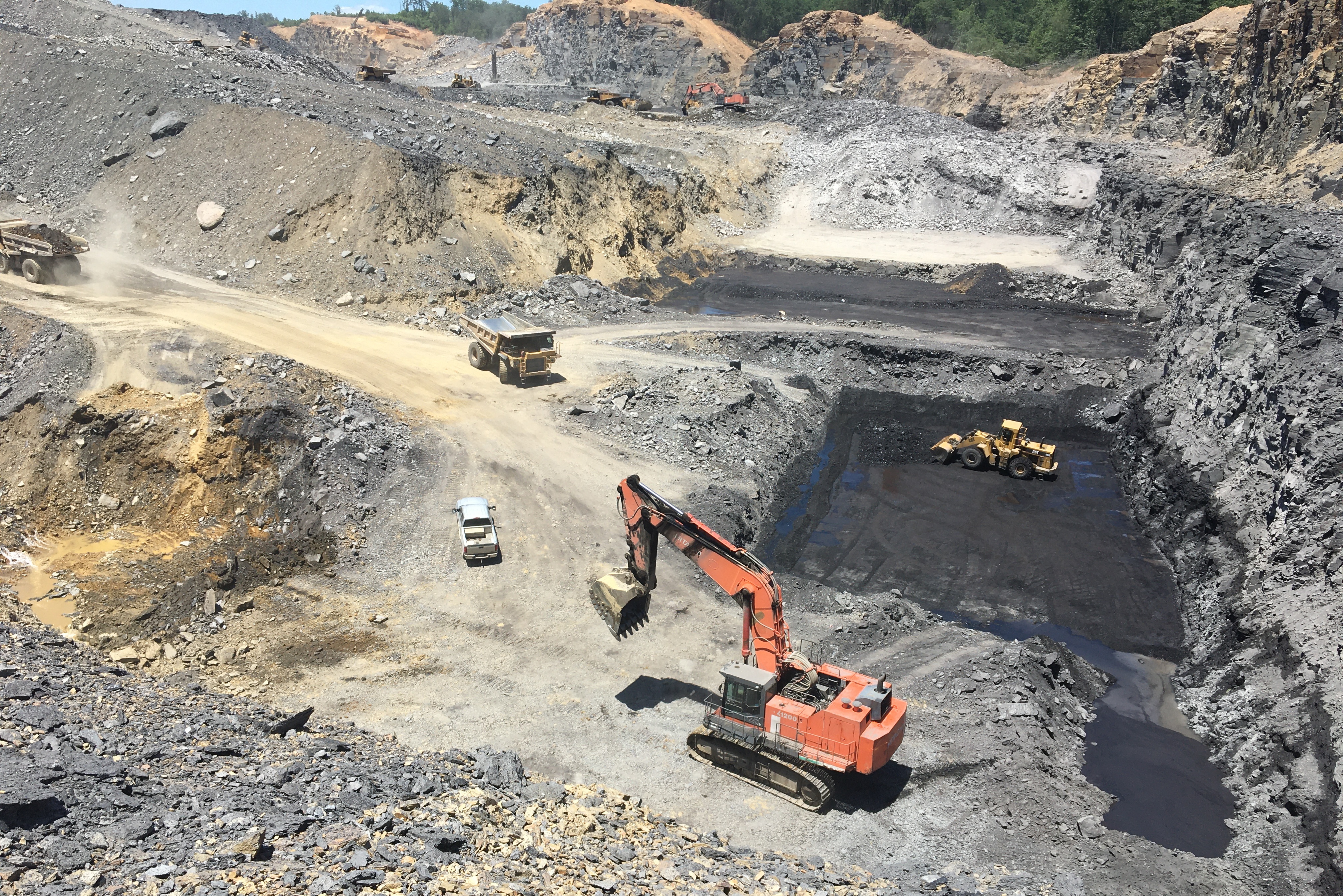 Ancient Alabama -- Coal swamps - al.com