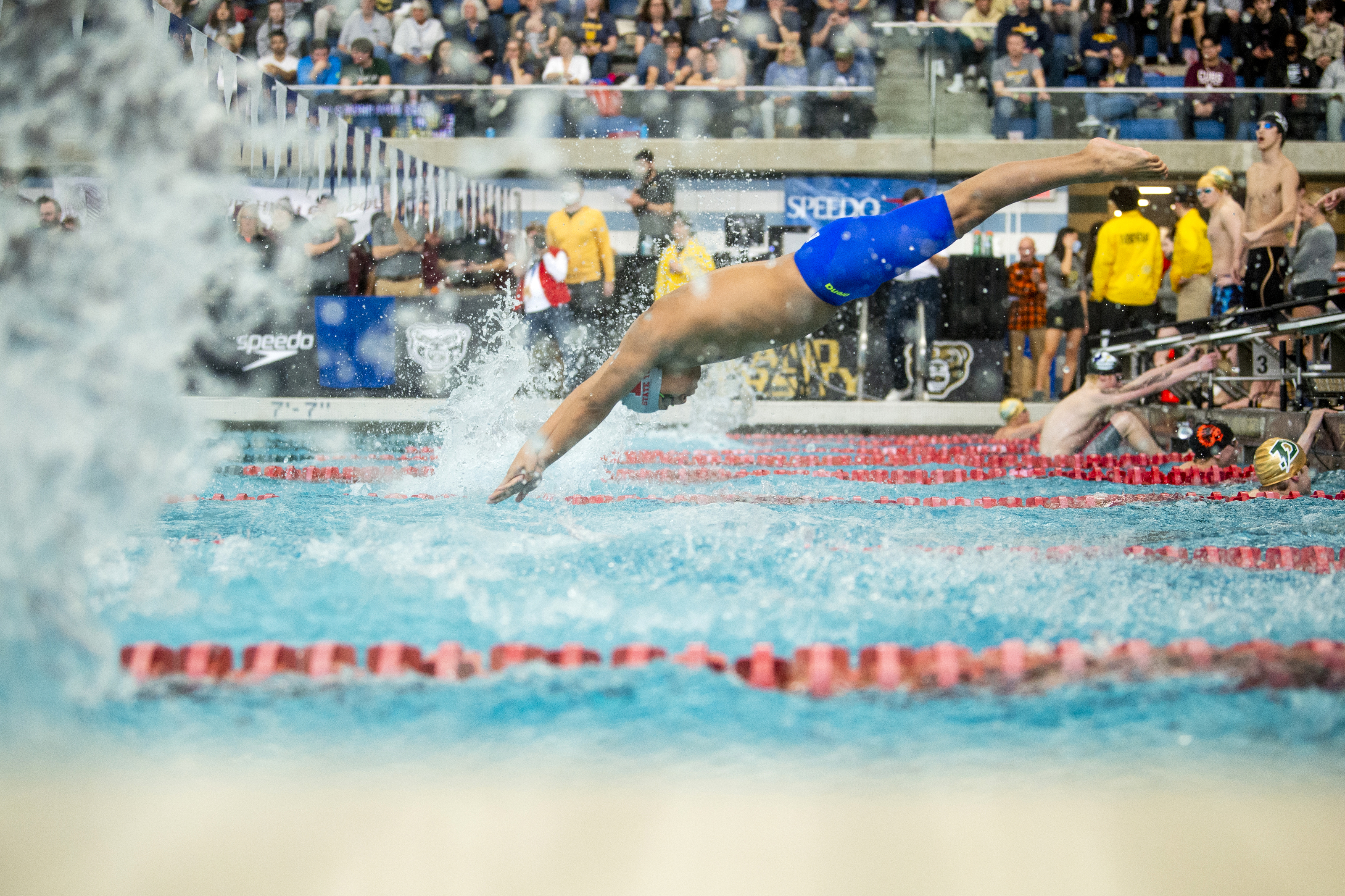 Our favorite 50 photos from MHSAA Boys Swimming and Diving State ...