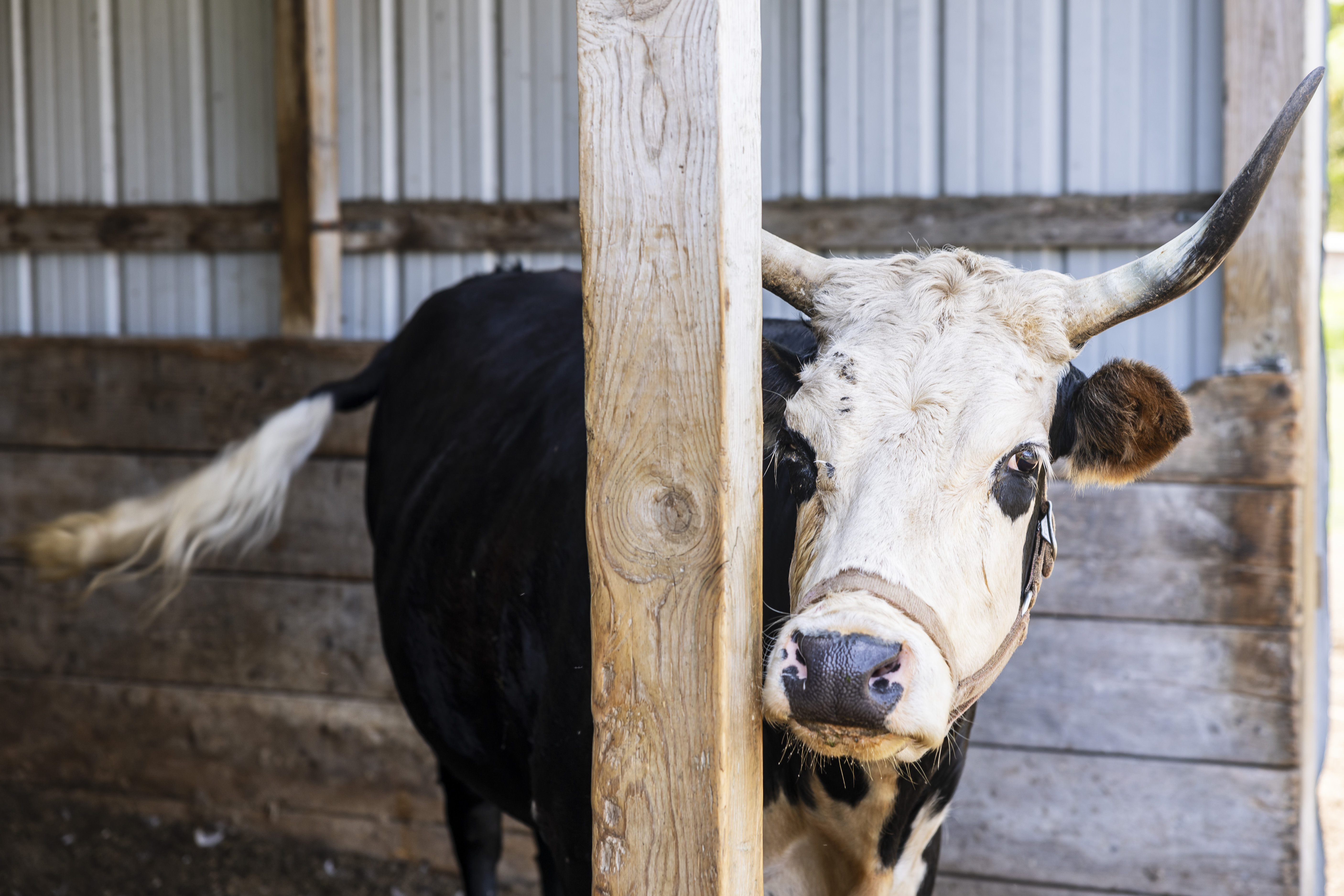 LOCAL EATS: Bay City’s The Farm at Apple Acres - mlive.com