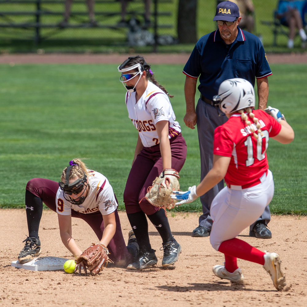 Big Spring puts up fight but falls to Hamburg in D3 softball title game ...