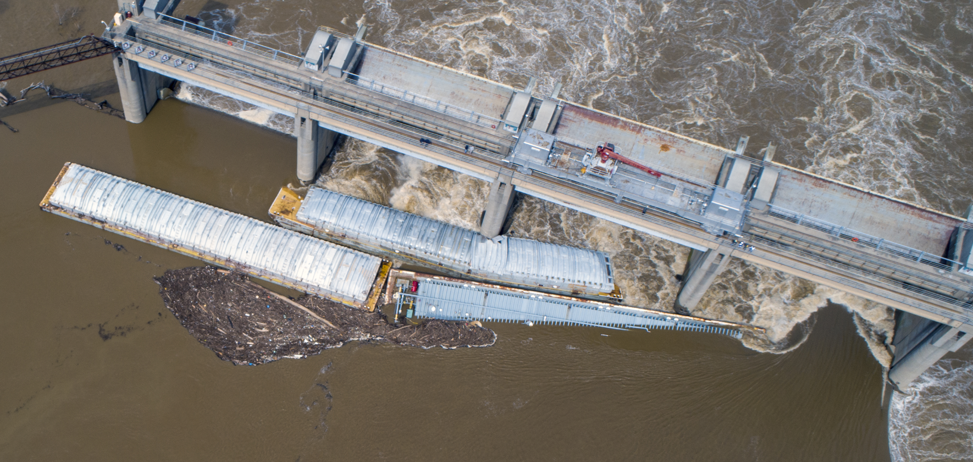 Ohio River Monster