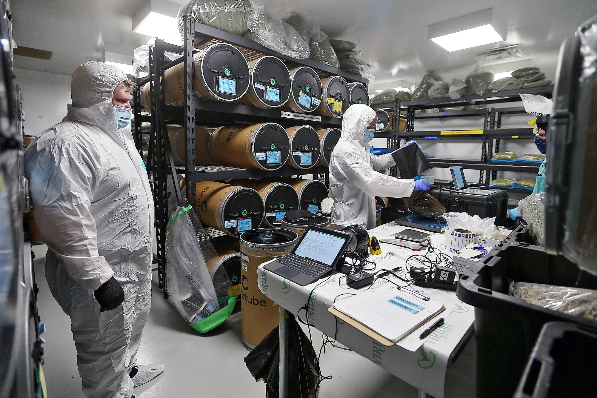 Viridis Laboratories Cannabis Testing – June 8, 2021 - mlive.com