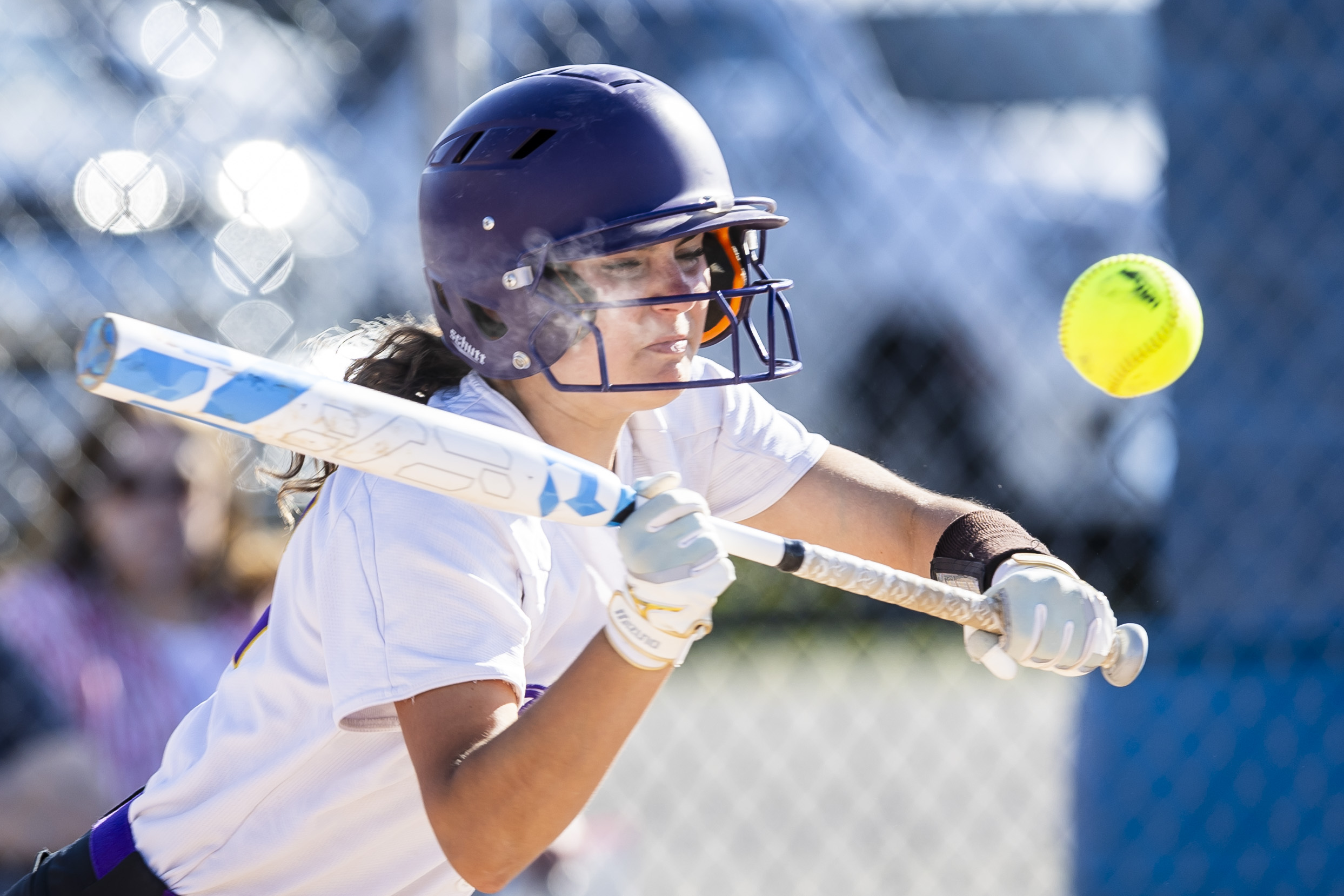 Garber faces Bay City Central in Bay County Softball Championship ...
