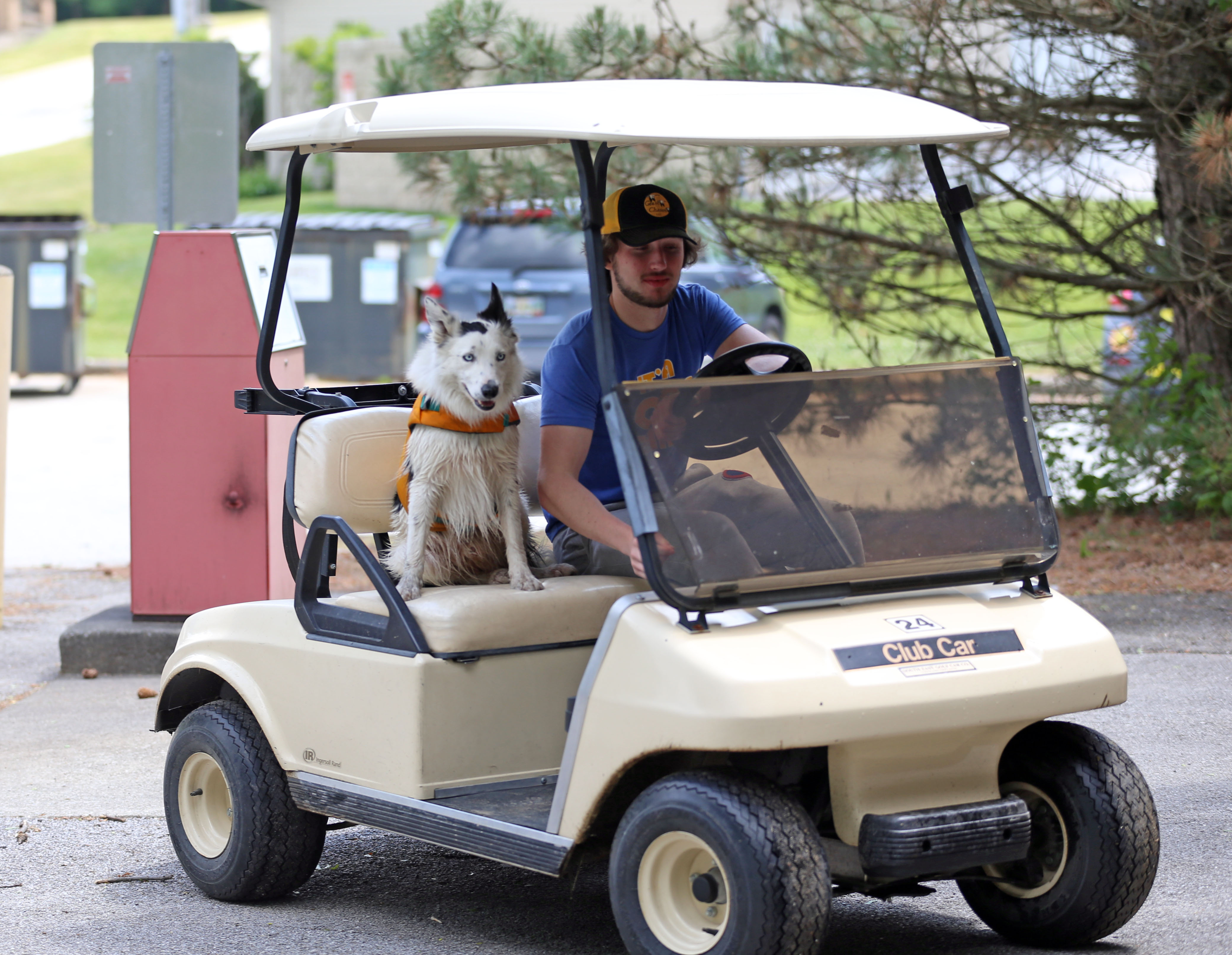 Geese Chasers clear out geese from area land，June 14，2023 - cleveland.com