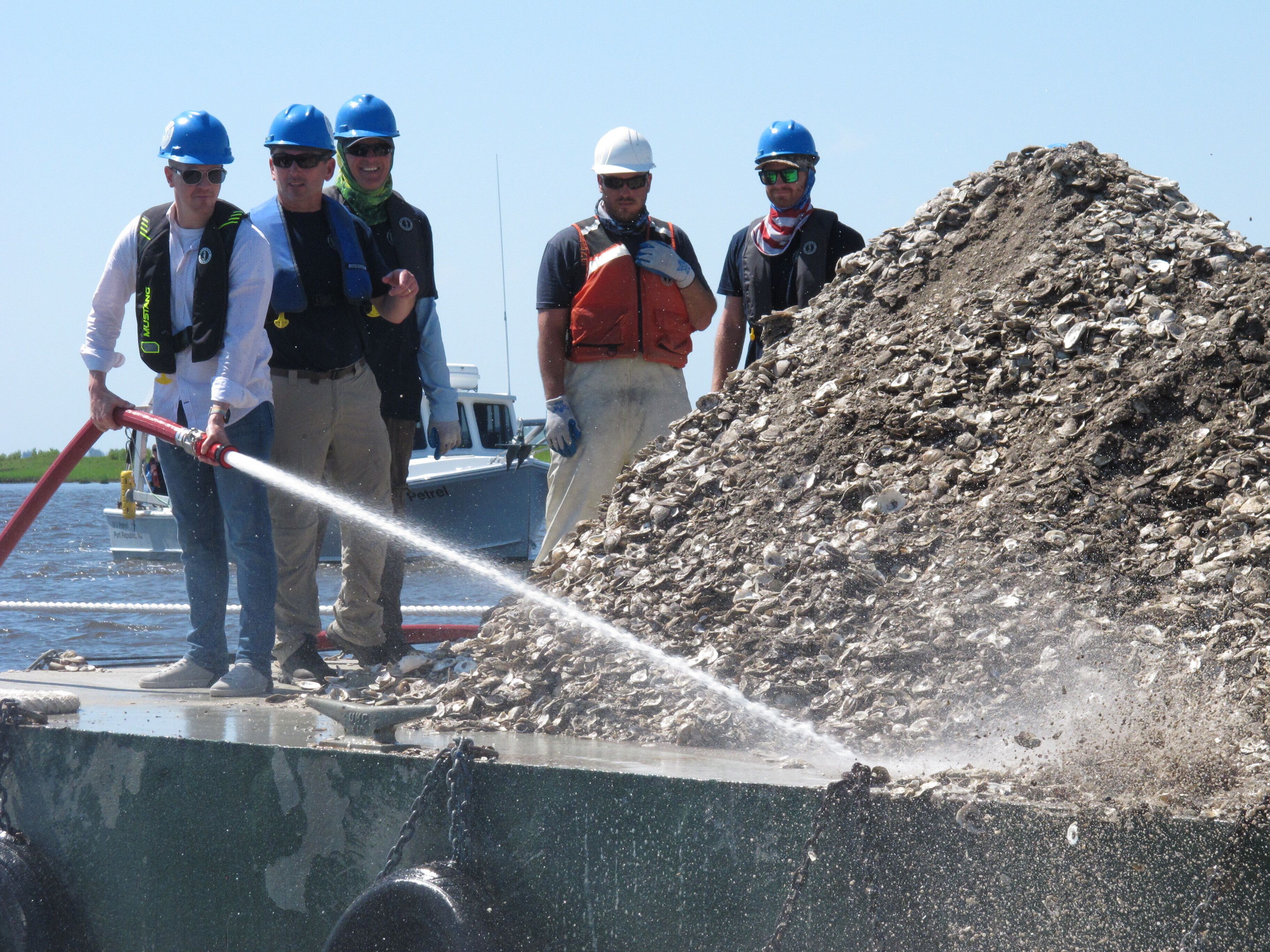 Discarded shells from restaurants help establish new oyster colonies ...
