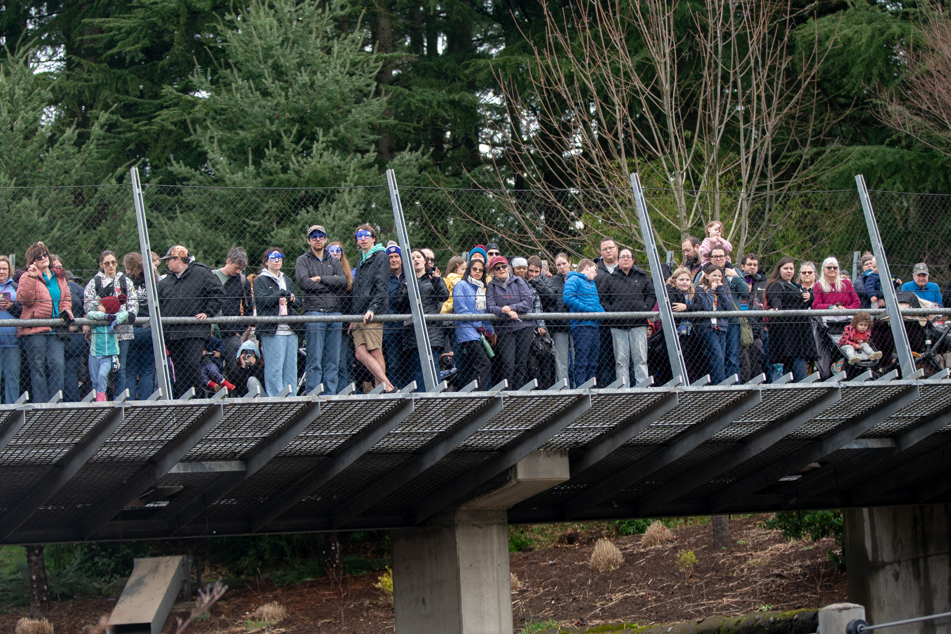 Tula-Tu’s first birthday at the Oregon Zoo - oregonlive.com
