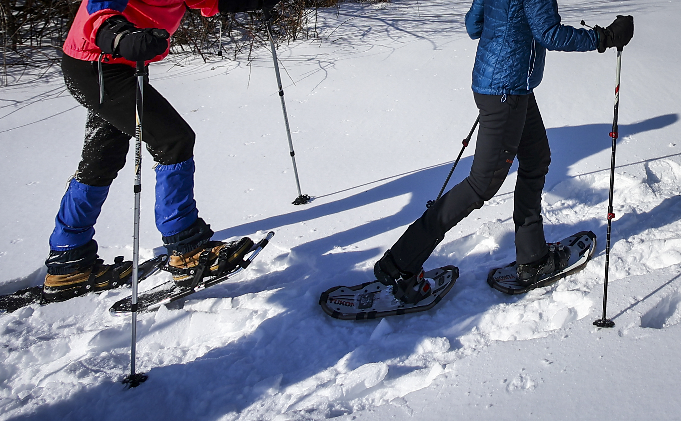 Taking in the winter scenery with snowshoes - lehighvalleylive.com