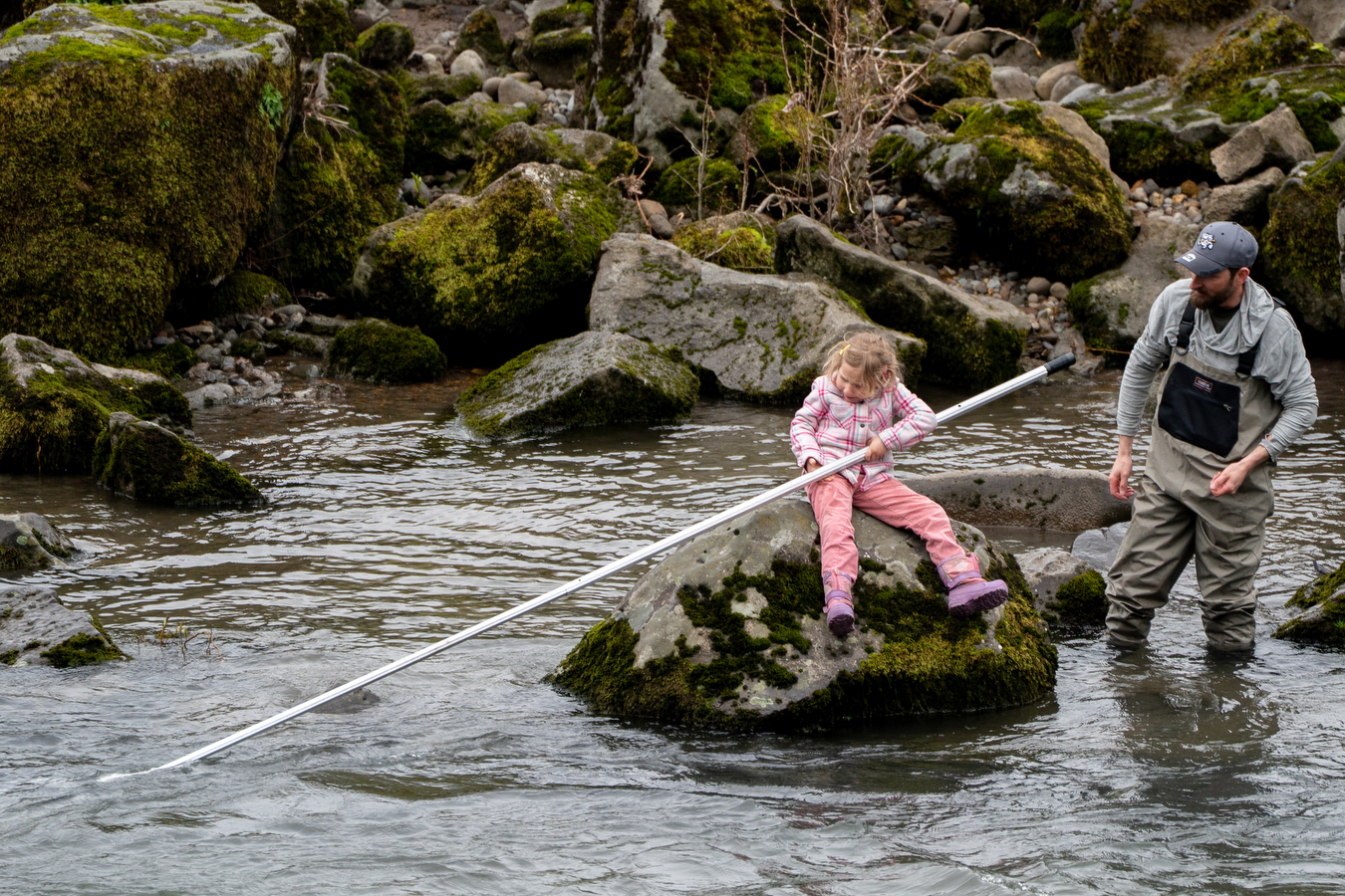 Sandy River smelt run 2025 - oregonlive.com