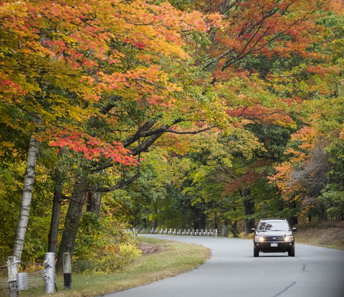 Fall Foliage Time in Western Massachusetts - masslive.com