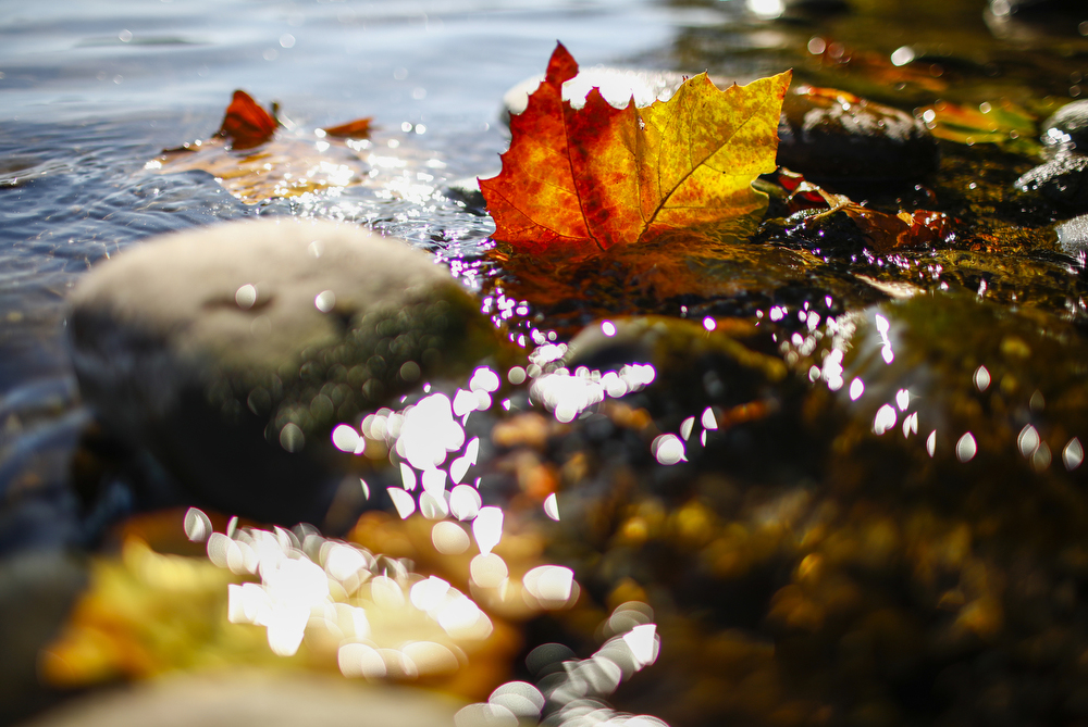 2020 Autumn in the Lehigh Valley - lehighvalleylive.com