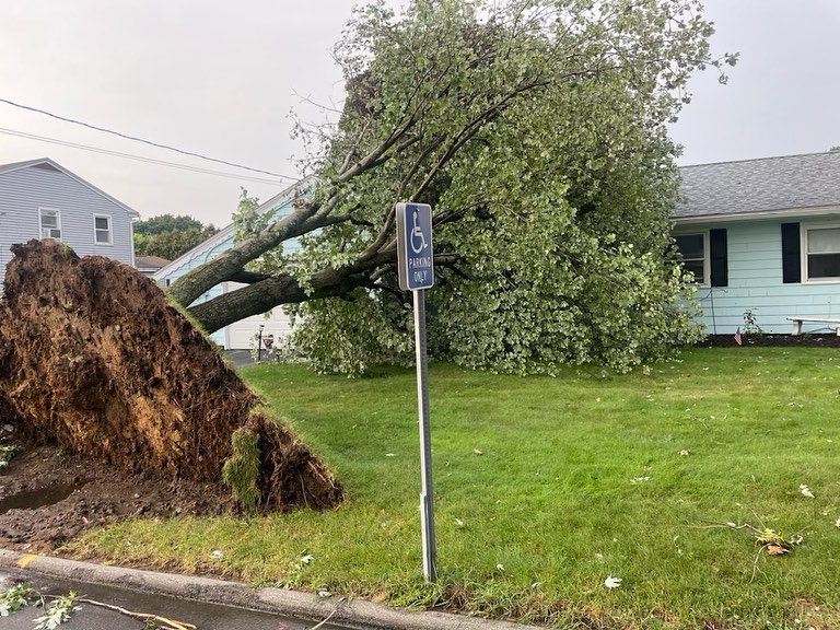 Thunderstorms leave damage across Massachusetts on Friday - masslive.com