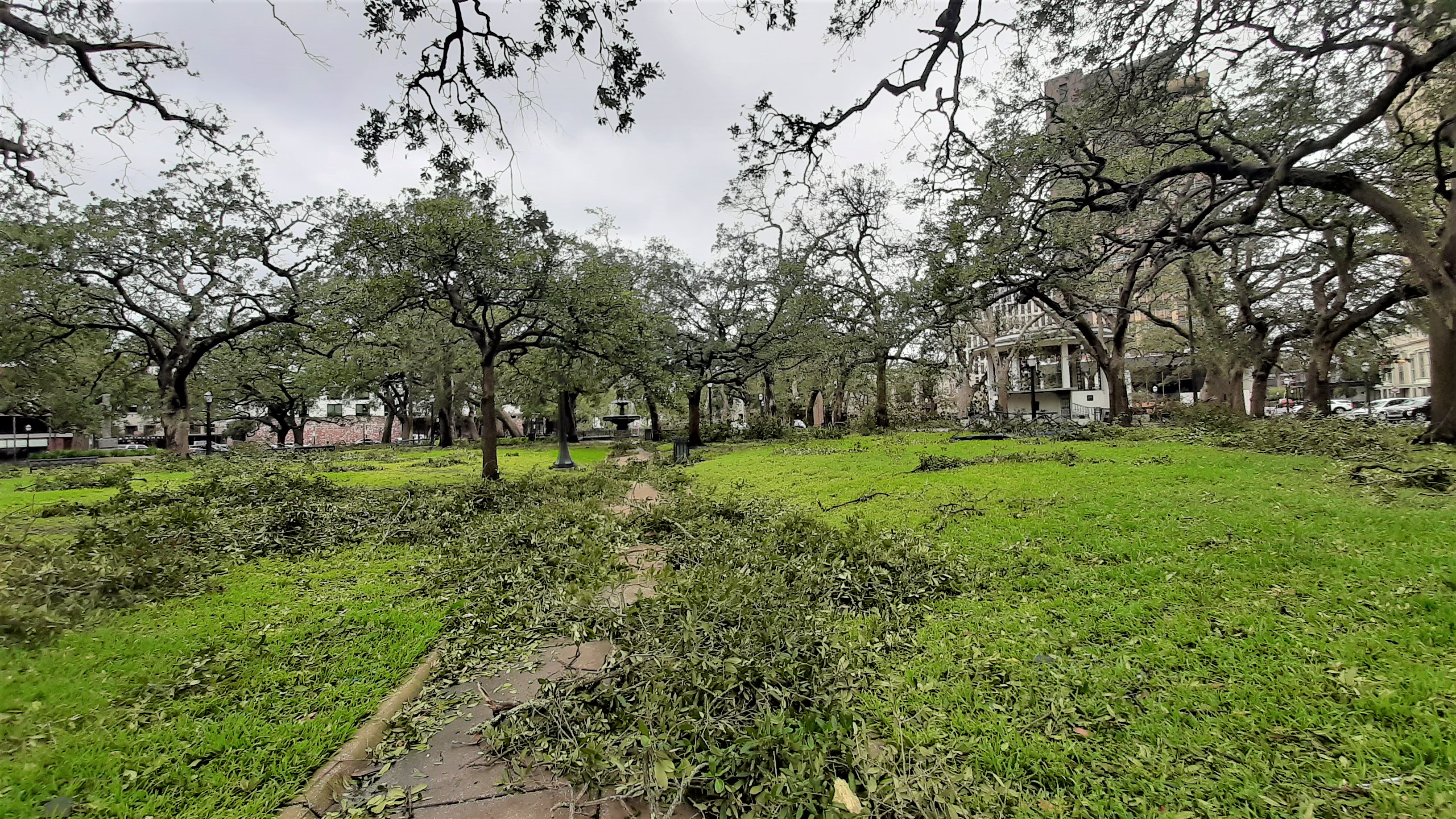 Hurricane Sally damage in coastal Alabama - pennlive.com