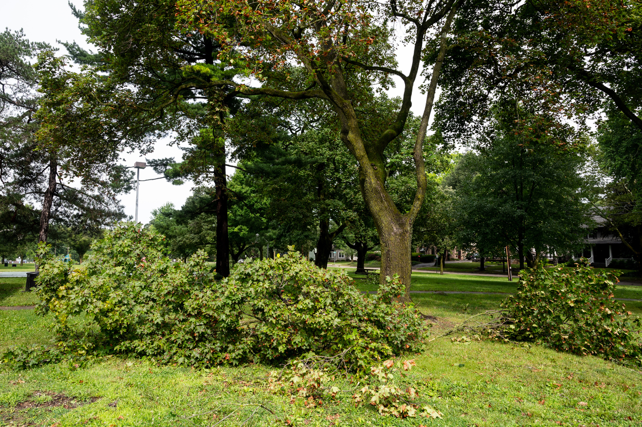 Ann Arbor flood and wind damage after overnight storms - mlive.com