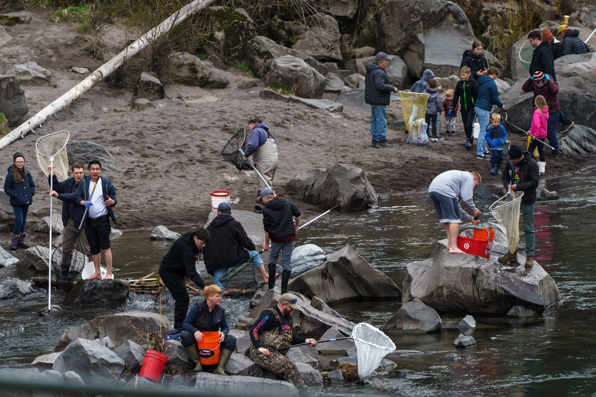 Smelt dipping returns to the lower Sandy River - oregonlive.com