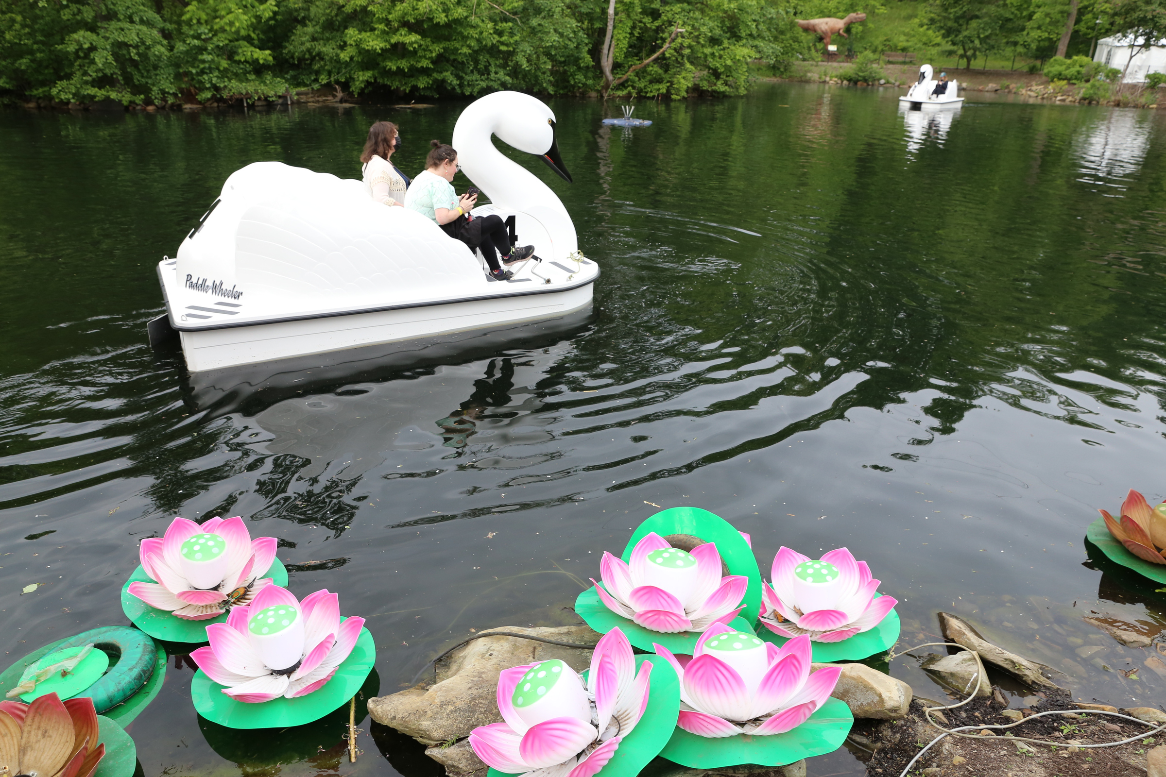 Swan Voyage opens at Cleveland Zoo - cleveland.com