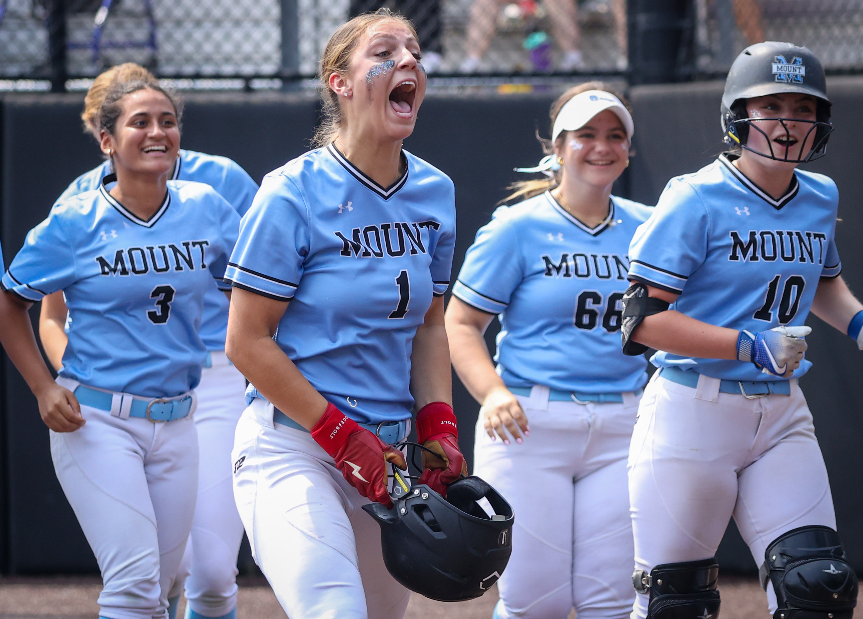 Softball: Mount St. Dominic vs. Donovan Catholic, 2025 NJSIAA Non ...