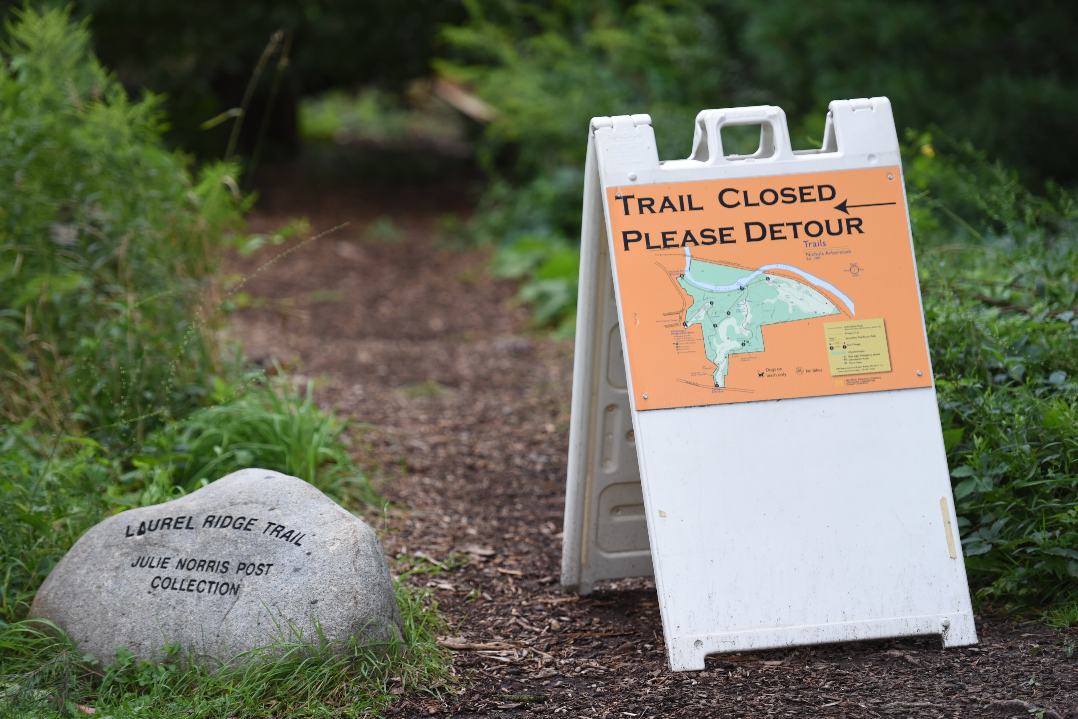 Storm topples trees in Nichols Arboretum in Ann Arbor - mlive.com