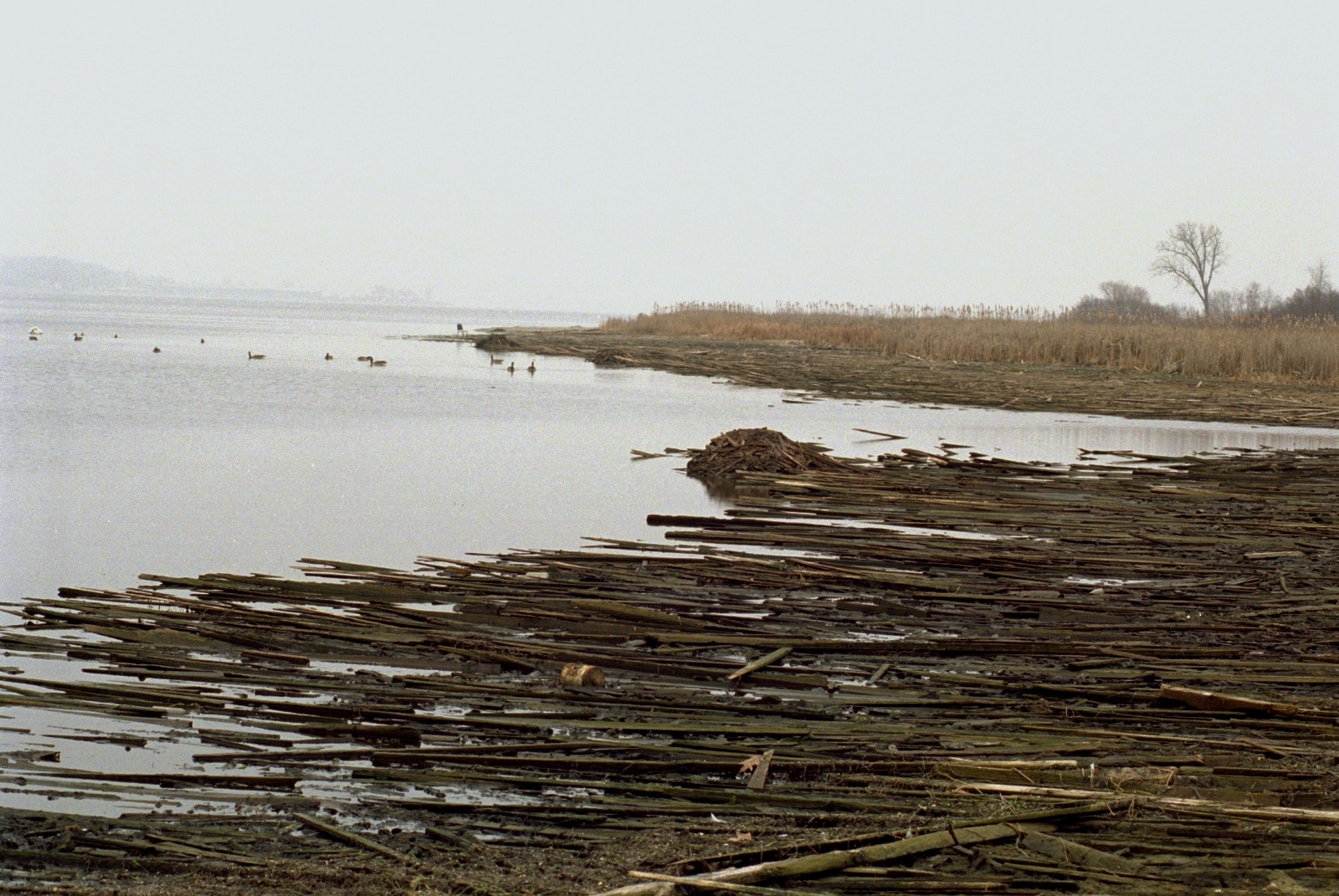 Muskegon Lake throughout the years - mlive.com