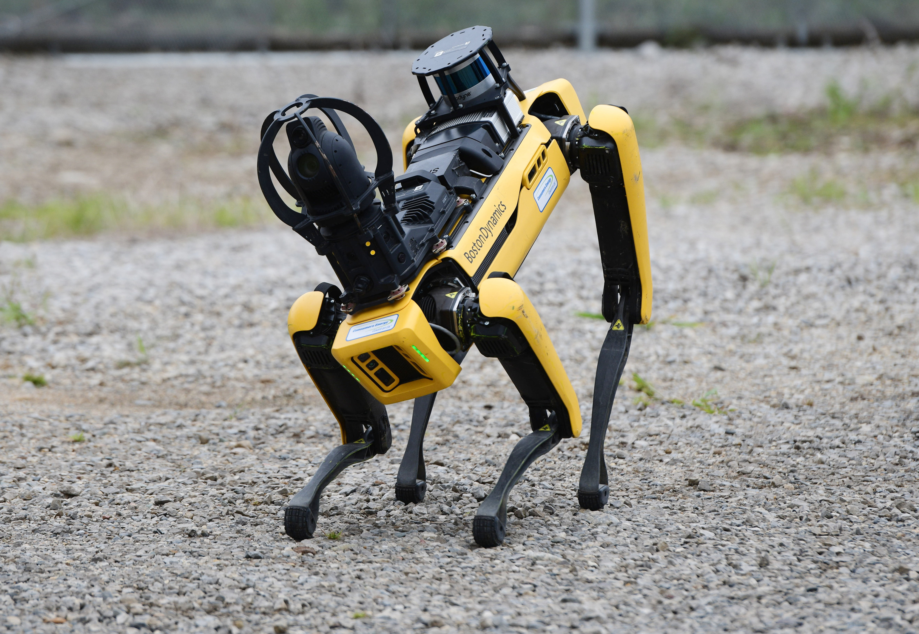 Spot the Robot Dog helps Consumers Energy prevent utility outages ...