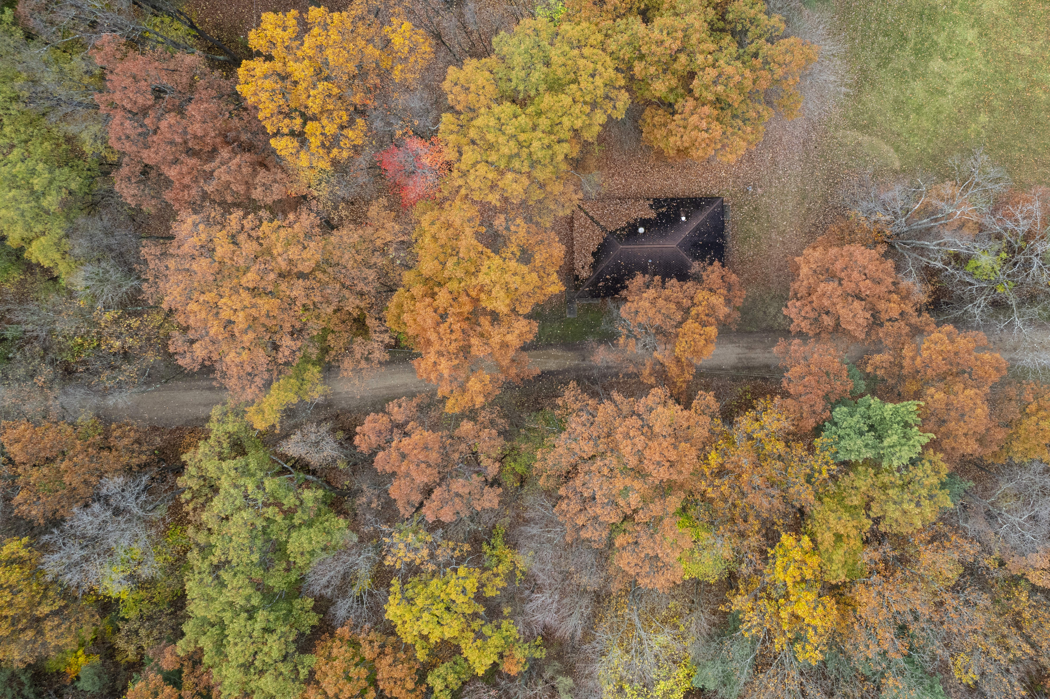 Arthur E. & Mildred H. Woollam Nature Preserve in Kalamazoo County ...