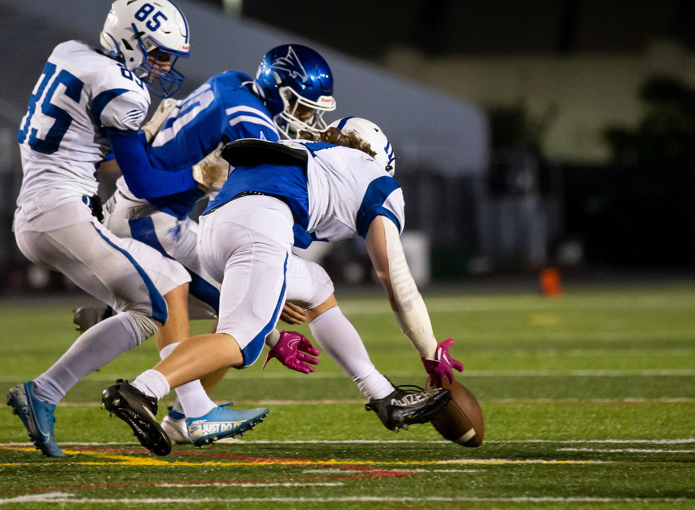 Elizabethtown defeats Lower Dauphin 41-28 in high school football ...