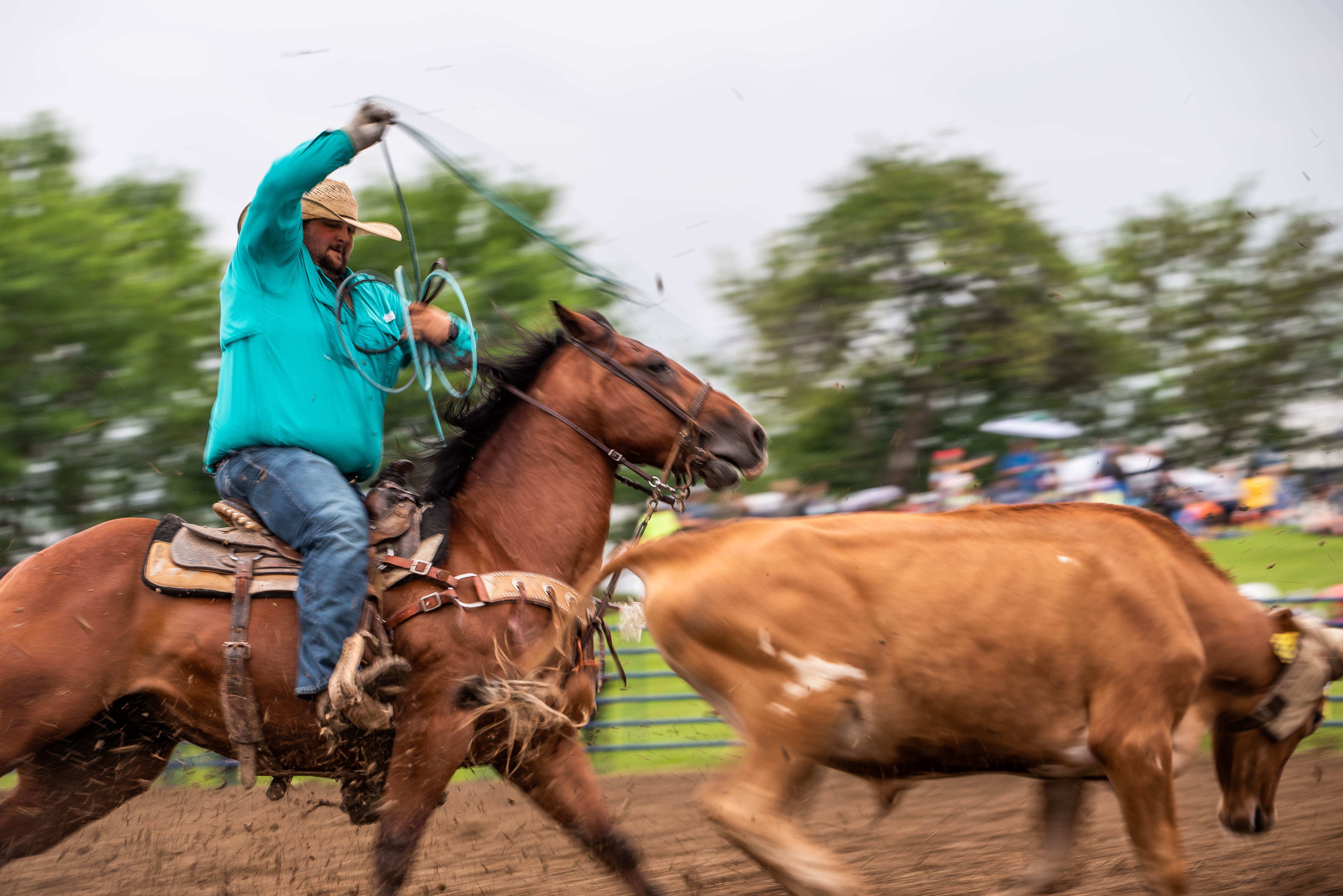 Rodeo returns to Gaines Township - mlive.com