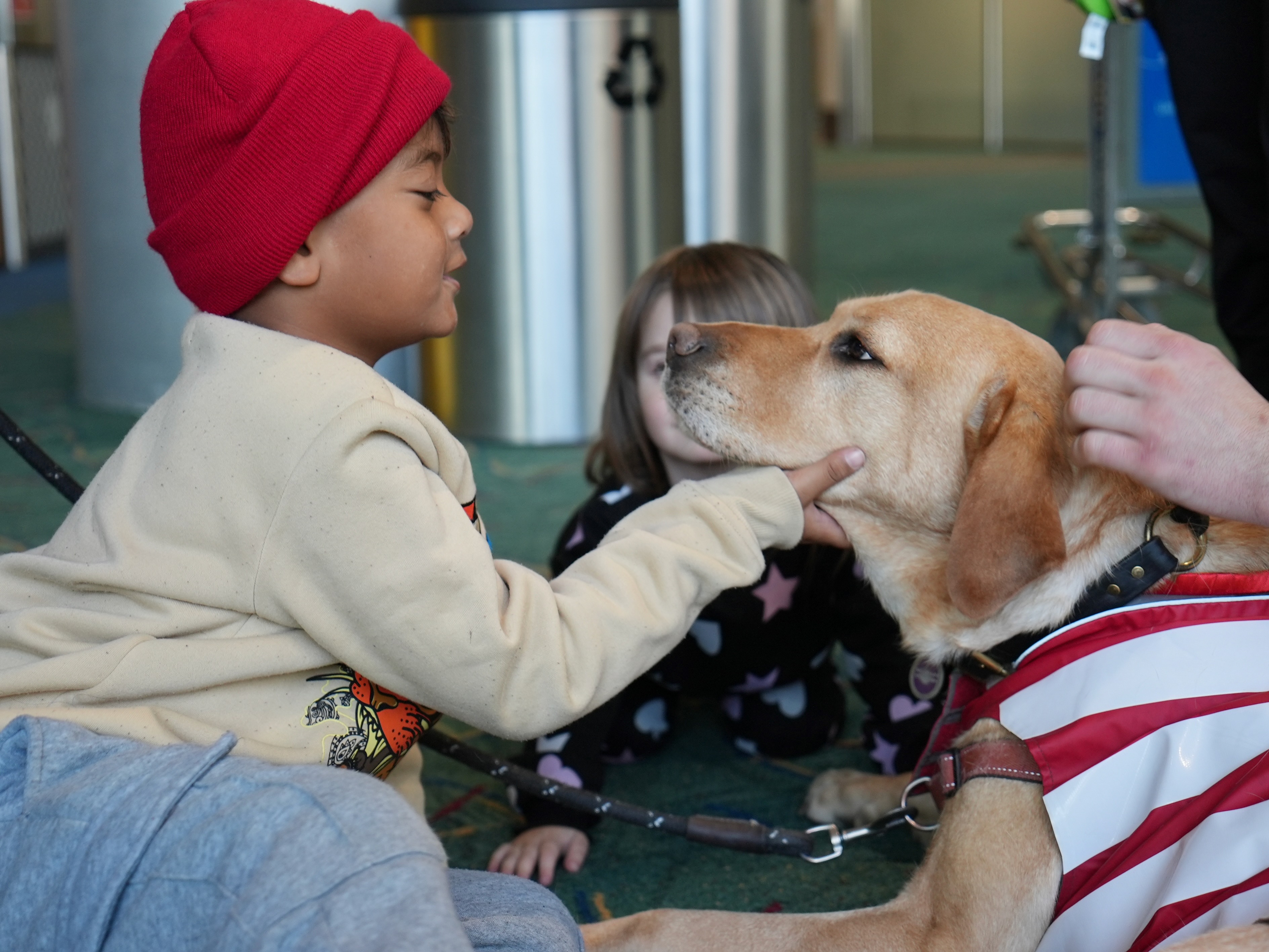 Therapy dogs at Portland Airport - oregonlive.com