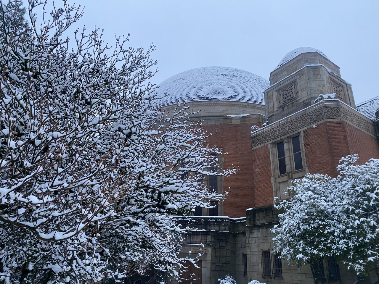 Morning snow in Portland - oregonlive.com