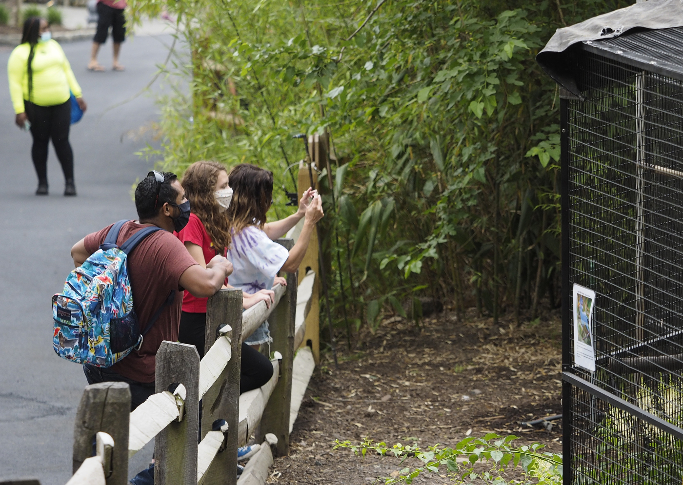 Turtle Back Zoo reopens after pandemic restrictions lifted - nj.com