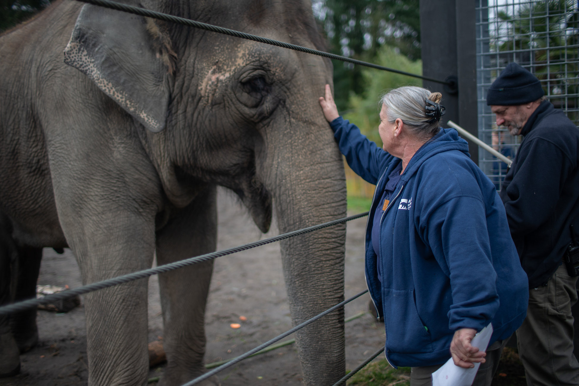 Tula-Tu’s first birthday at the Oregon Zoo - oregonlive.com