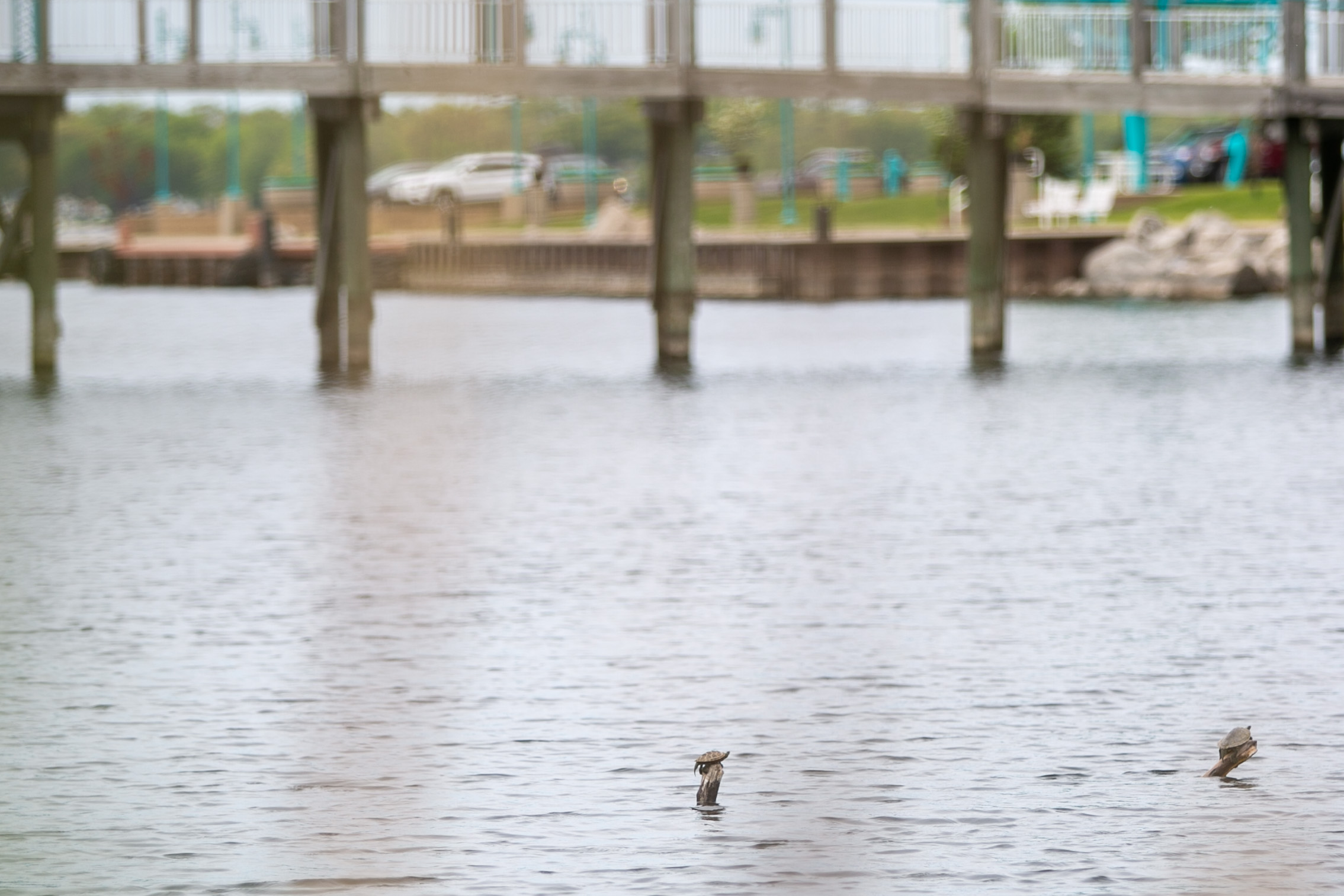 EPA and partners celebrate completion of Muskegon Lake area cleanup ...