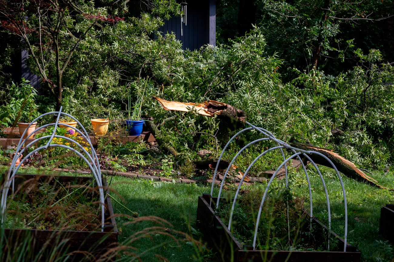 Ann Arbor flood and wind damage after overnight storms - mlive.com