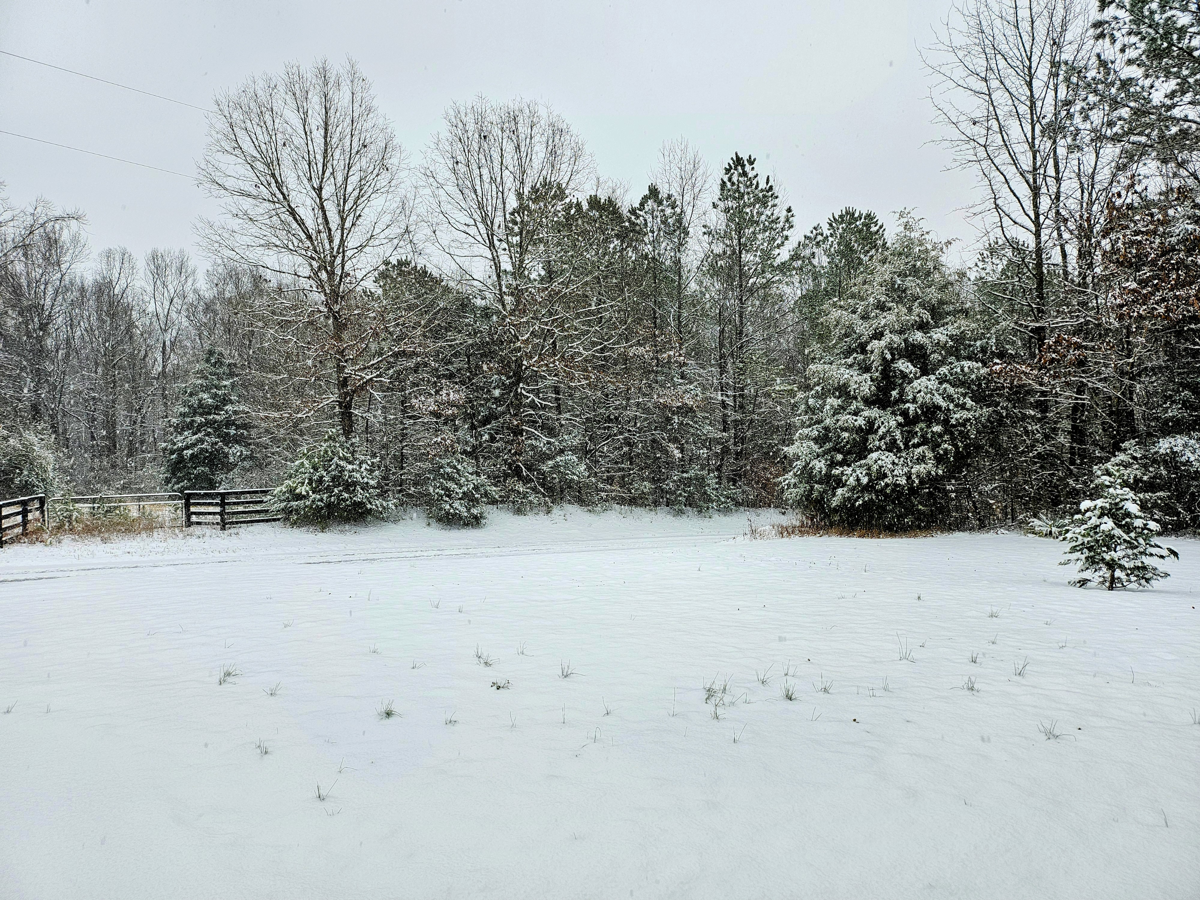 Snow in Alabama Jan. 10, 2025 - al.com